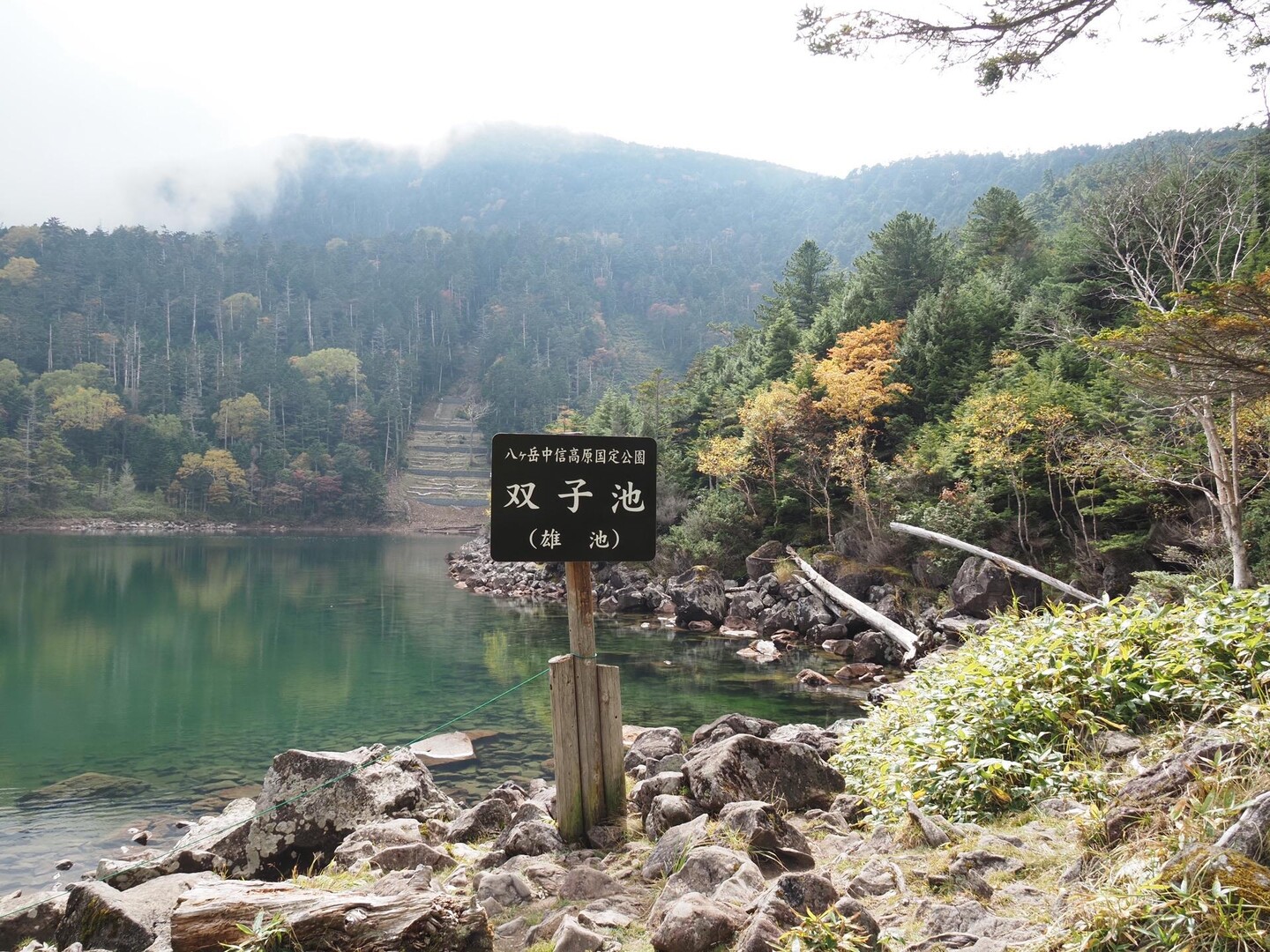 双子山・双子池 / emi-3さんの蓼科山・横岳・縞枯山の活動データ | YAMAP / ヤマップ