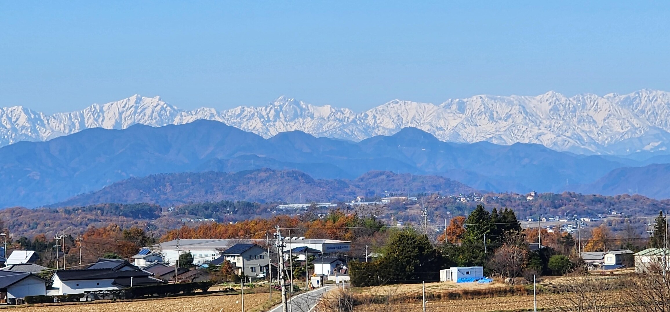 Saku Shi 🚵🚴2023-11-21🚴🚵 / 🤟🤠 Carloss🤠🤟さんのランニングの活動データ | YAMAP / ヤマップ