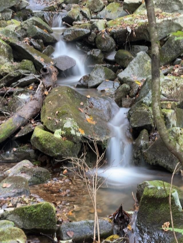 十数年ぶりの三頭山 / genchさんの大岳山・御岳山・御前山の活動データ | YAMAP / ヤマップ