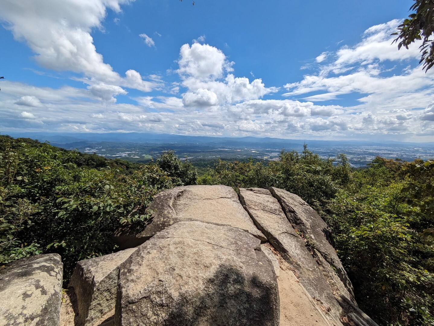 猿投山 2023/09/10 / ryuさんの猿投山・物見山の活動データ | YAMAP / ヤマップ