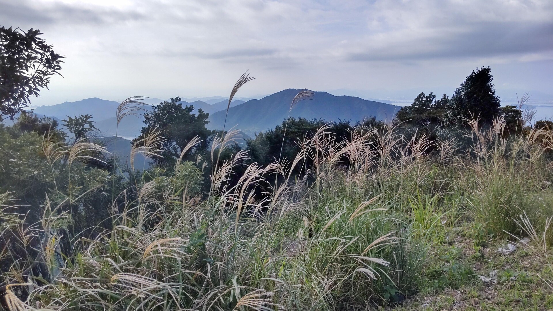 鬼ヶ城135 / Ymarpyさんの竜王山・鋤尖山・鬼ヶ城の活動データ | YAMAP / ヤマップ