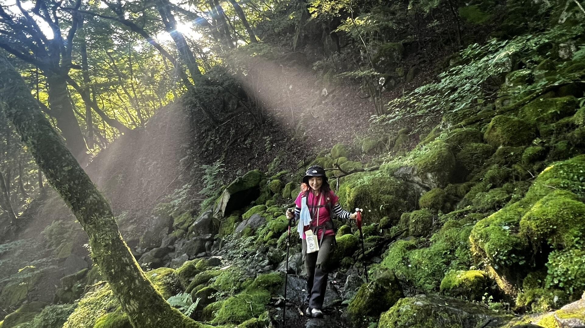 万三郎岳（天城山）・万二郎岳（天城山） / yamalamaさんの天城山・鉢ノ山・三筋山の活動データ | YAMAP / ヤマップ