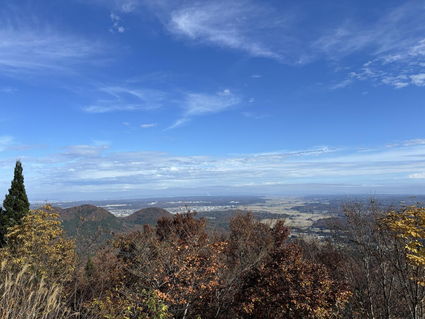 11/17 笹倉山(大森) / MSさんの七ツ森の活動データ | YAMAP / ヤマップ