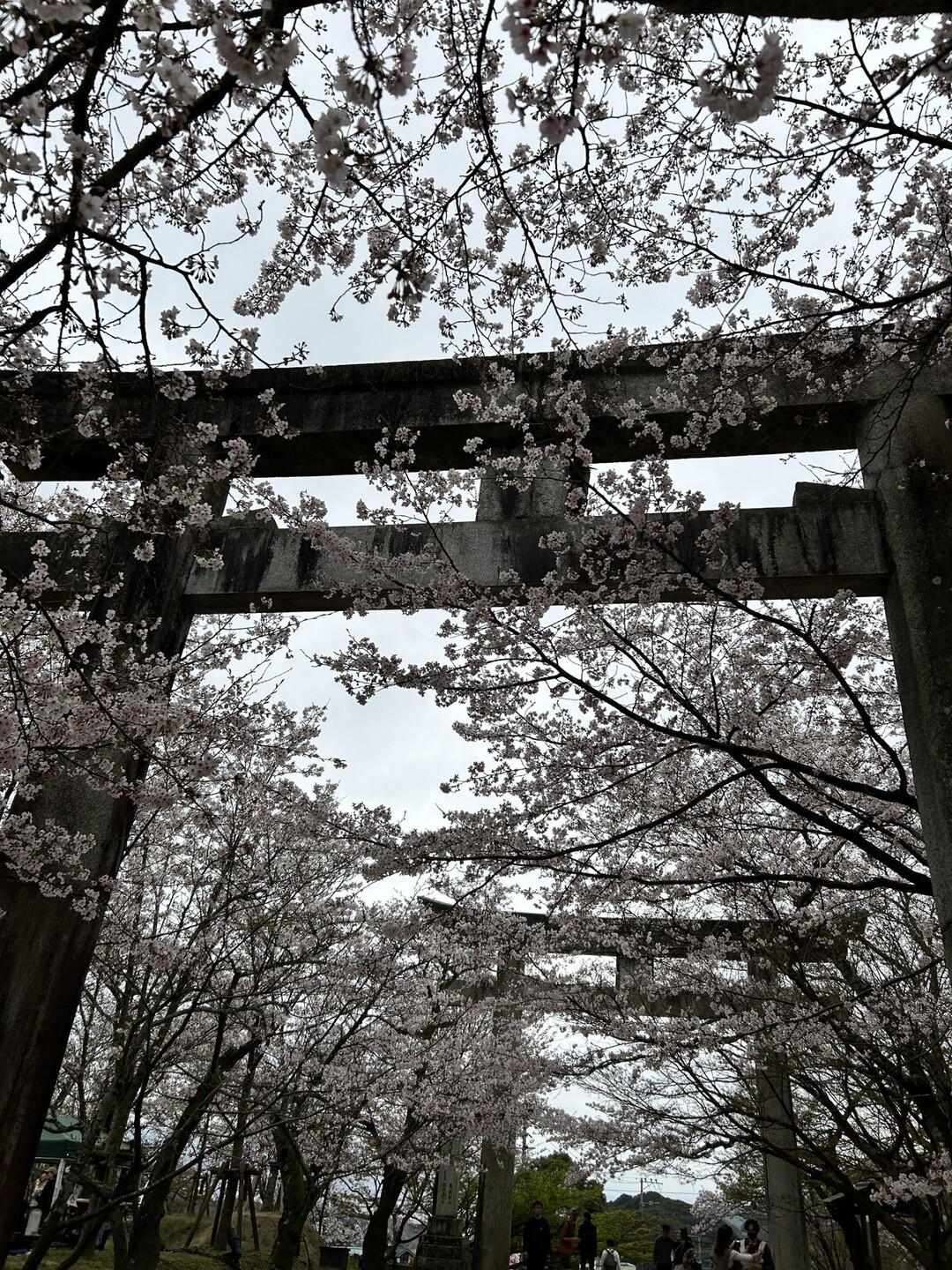 2024.03.31(日) 06:31 / Takamatsuさんのモーメント | YAMAP / ヤマップ