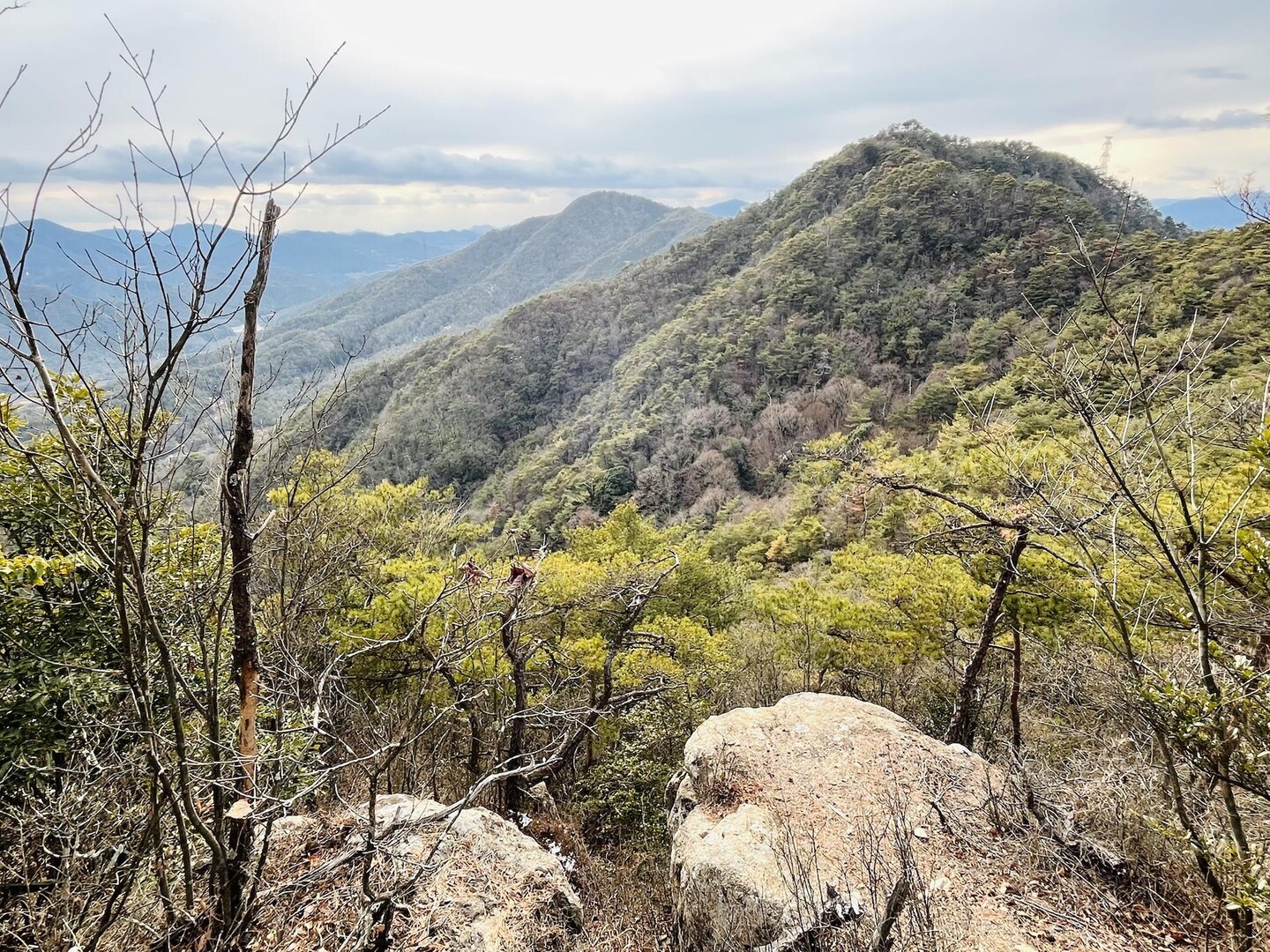 曾場ヶ城山・小倉山・弥仙山・水丸山をトレラン🏃‍♂️ / Mt.masuさんの水ヶ丸山（水丸山）・曽場ヶ城山の活動データ | YAMAP / ヤマップ