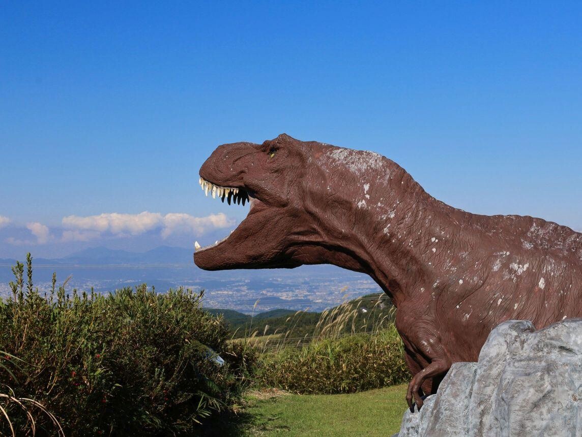 西原村四山 / toshil-_-lさんの西原村の活動データ | YAMAP / ヤマップ