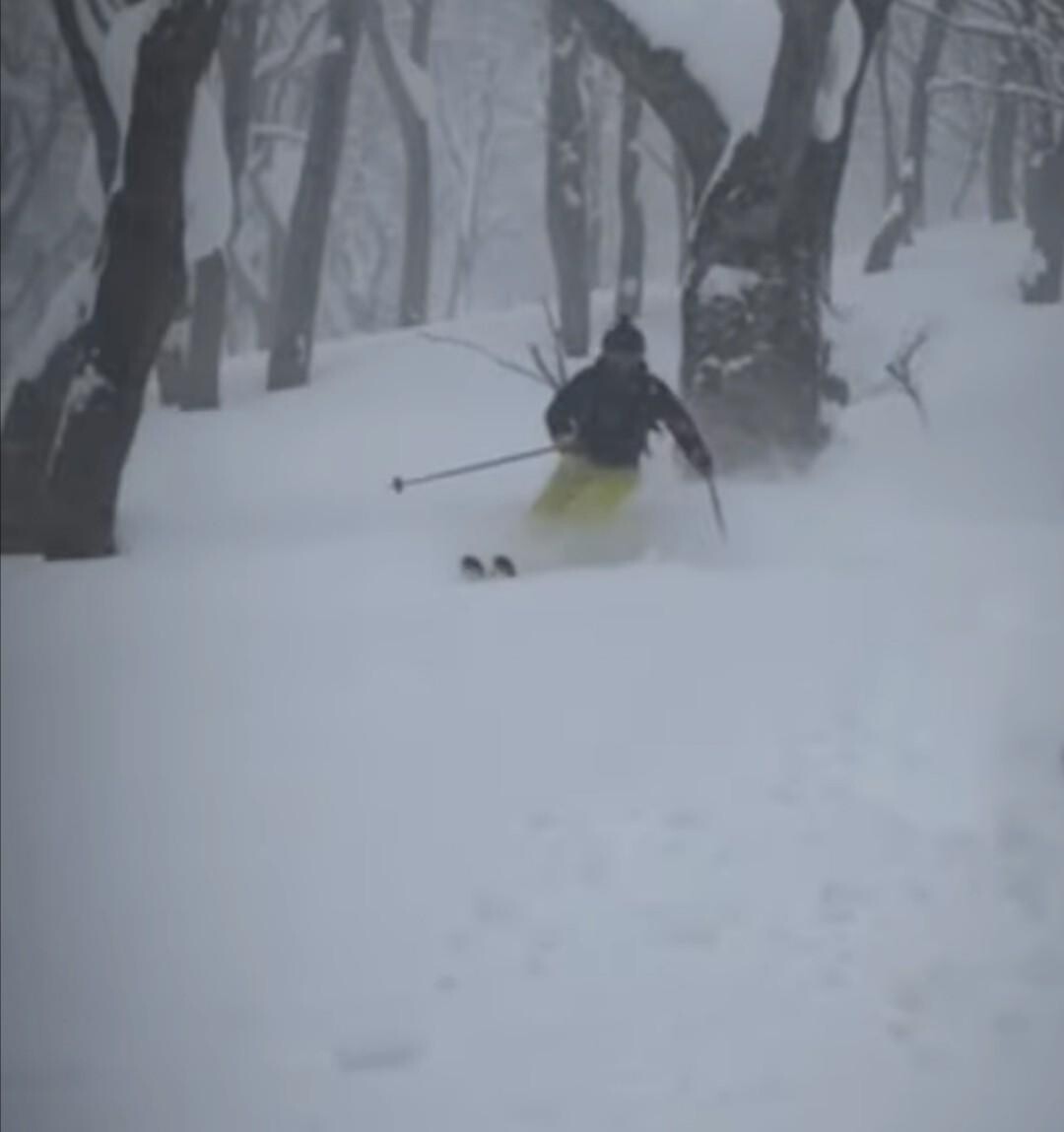 12月22日 雛岳 BC SKI / やまぴさんの八甲田山・高田大岳・雛岳の活動データ | YAMAP / ヤマップ