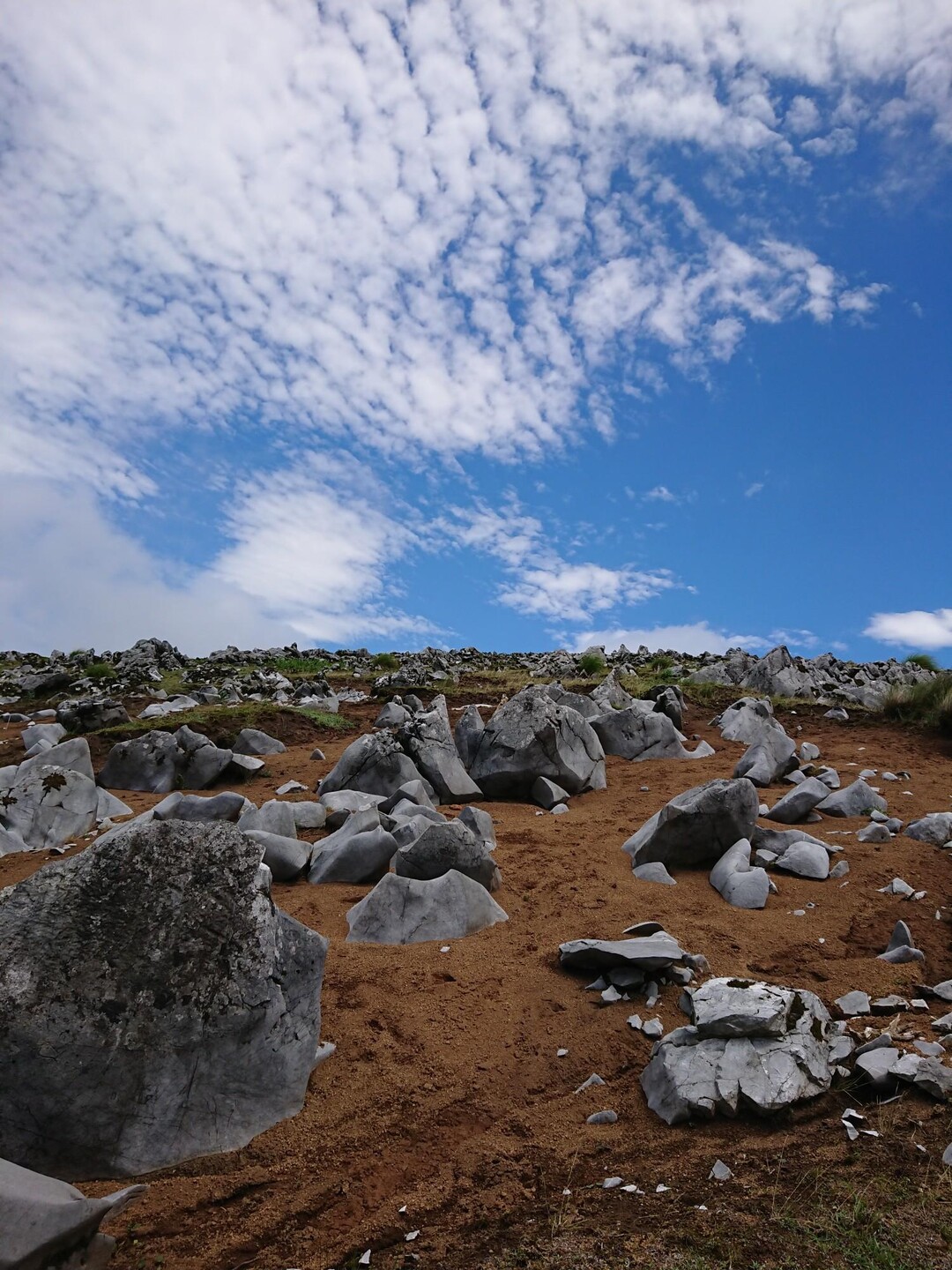 神秘的なカルスト台地 霊仙山 / jun31さんの霊仙山の活動データ | YAMAP / ヤマップ
