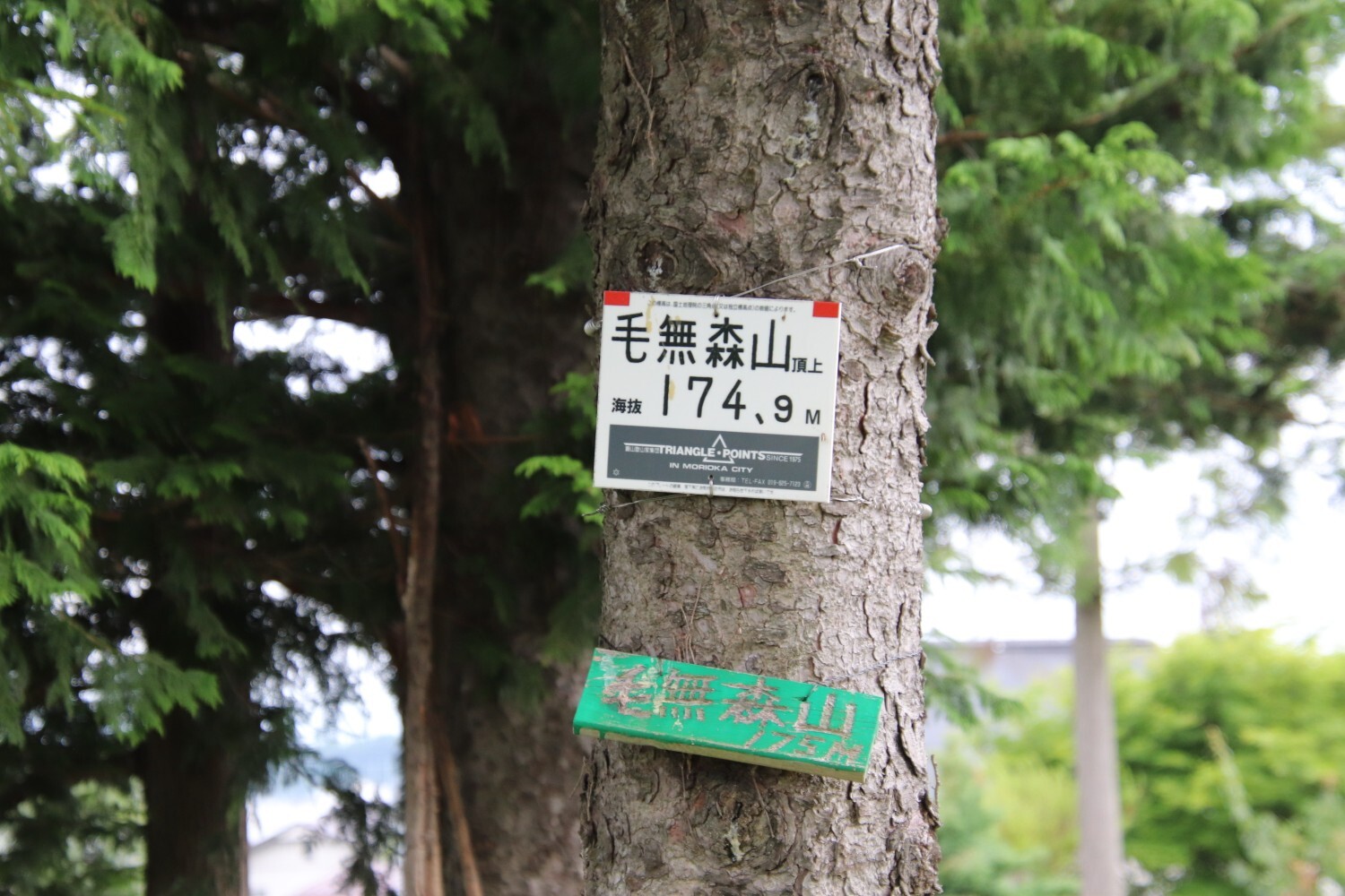 毛無森山-2019-07-18 / G-Mikiさんの盛岡市の活動データ | YAMAP / ヤマップ