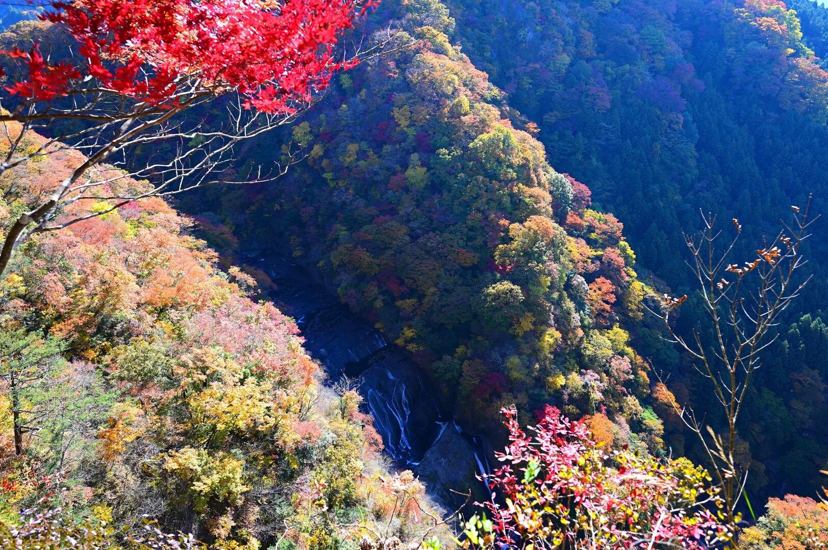 生瀬富士・茨城のジャンダルム・月居山 / がみちんさんの生瀬富士・大子アルプスの活動データ | YAMAP / ヤマップ