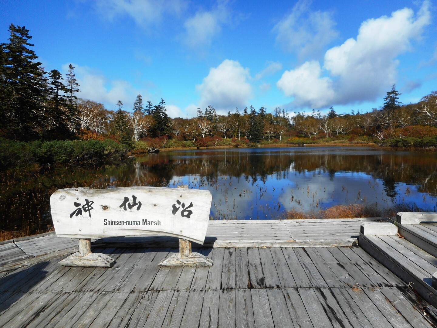 ニセコ沼巡り 大沼・神仙沼‥etc / 孝遊子さんのニセコアンヌプリ・イワオヌプリ・チセヌプリの活動データ | YAMAP / ヤマップ