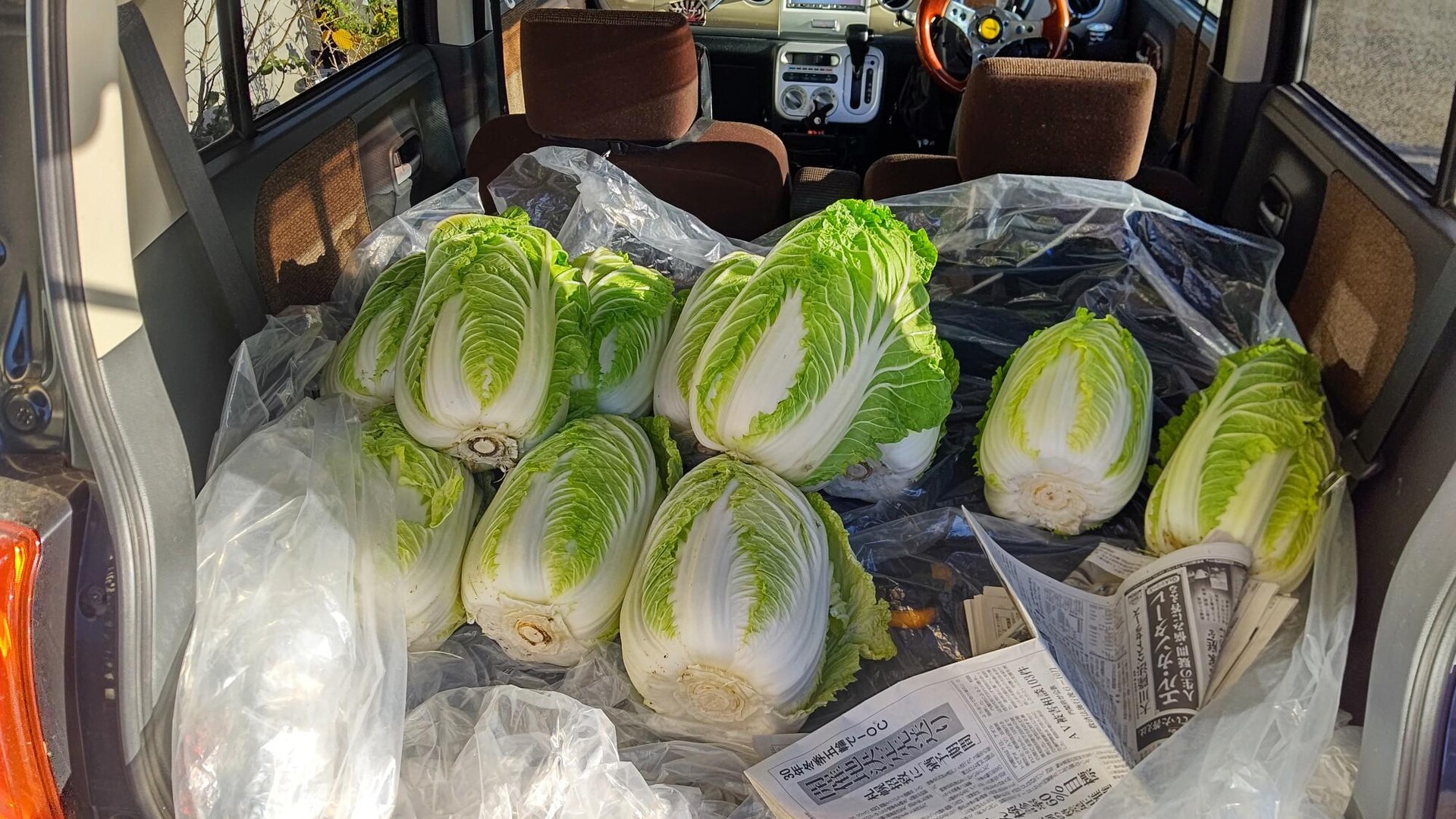 しばらく鍋が続く🙂 / ぶんたさんのモーメント | YAMAP / ヤマップ