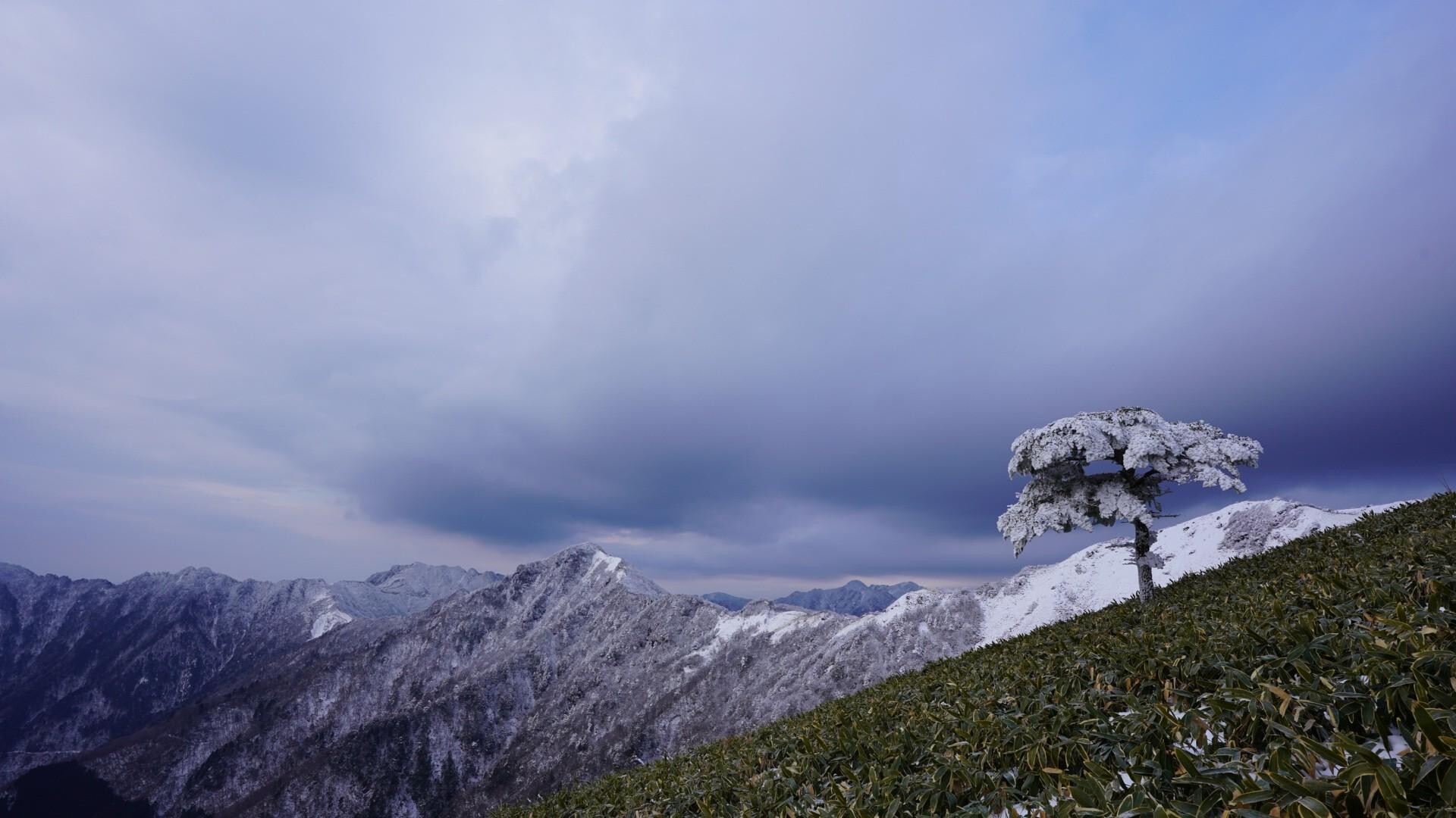 笹ヶ峰2024.1.28 / ENAJIさんの笹ヶ峰・寒風山・平家平の活動日記 | YAMAP / ヤマップ