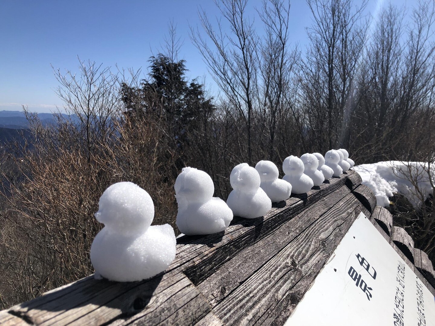 冬の竜頭山 / Samさんのウォーキングの活動データ | YAMAP / ヤマップ