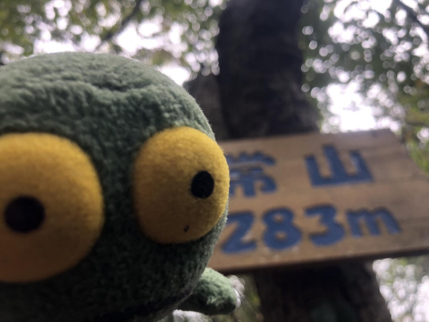 郷師山・城山・金山・常山 良い子はスパッツはきましょう😂 / kirichan57さんの城山・郷師山の活動データ | YAMAP / ヤマップ