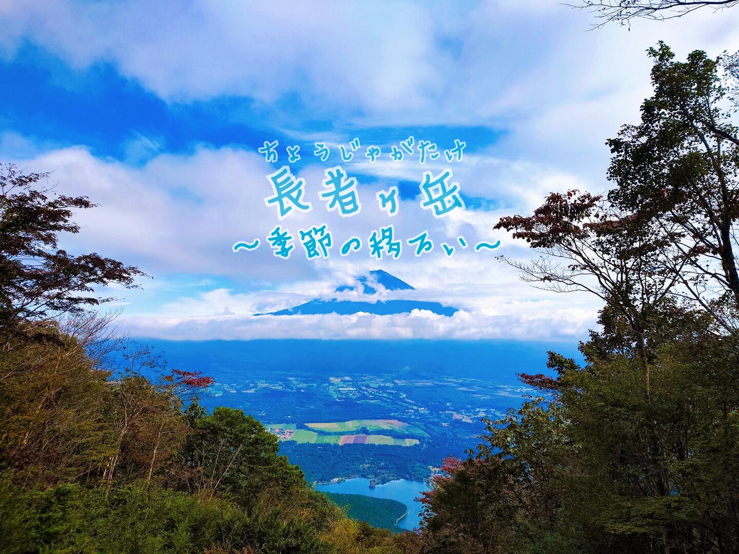 長者ヶ岳⛰️〜夏から秋へ 季節の移ろい〜 / Riot Kさんの長者ヶ岳・天子ヶ岳の活動データ | YAMAP / ヤマップ