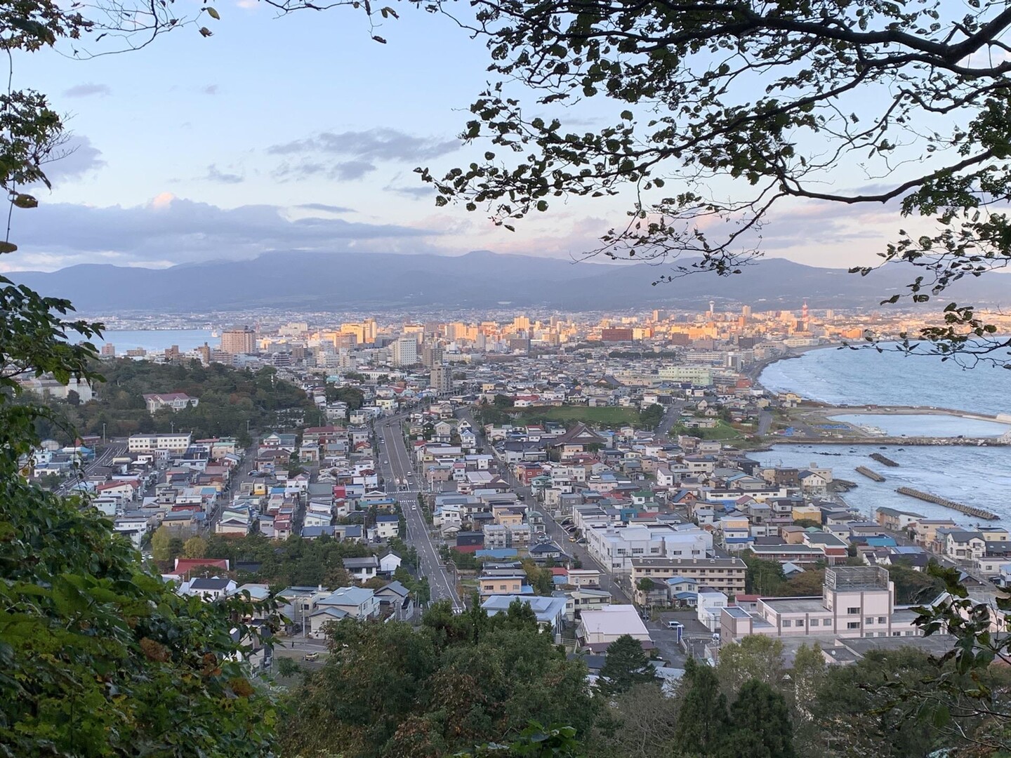 R4.10.15③ エゾダテ山・鞍掛山 / あおかつさんの函館山の活動データ | YAMAP / ヤマップ