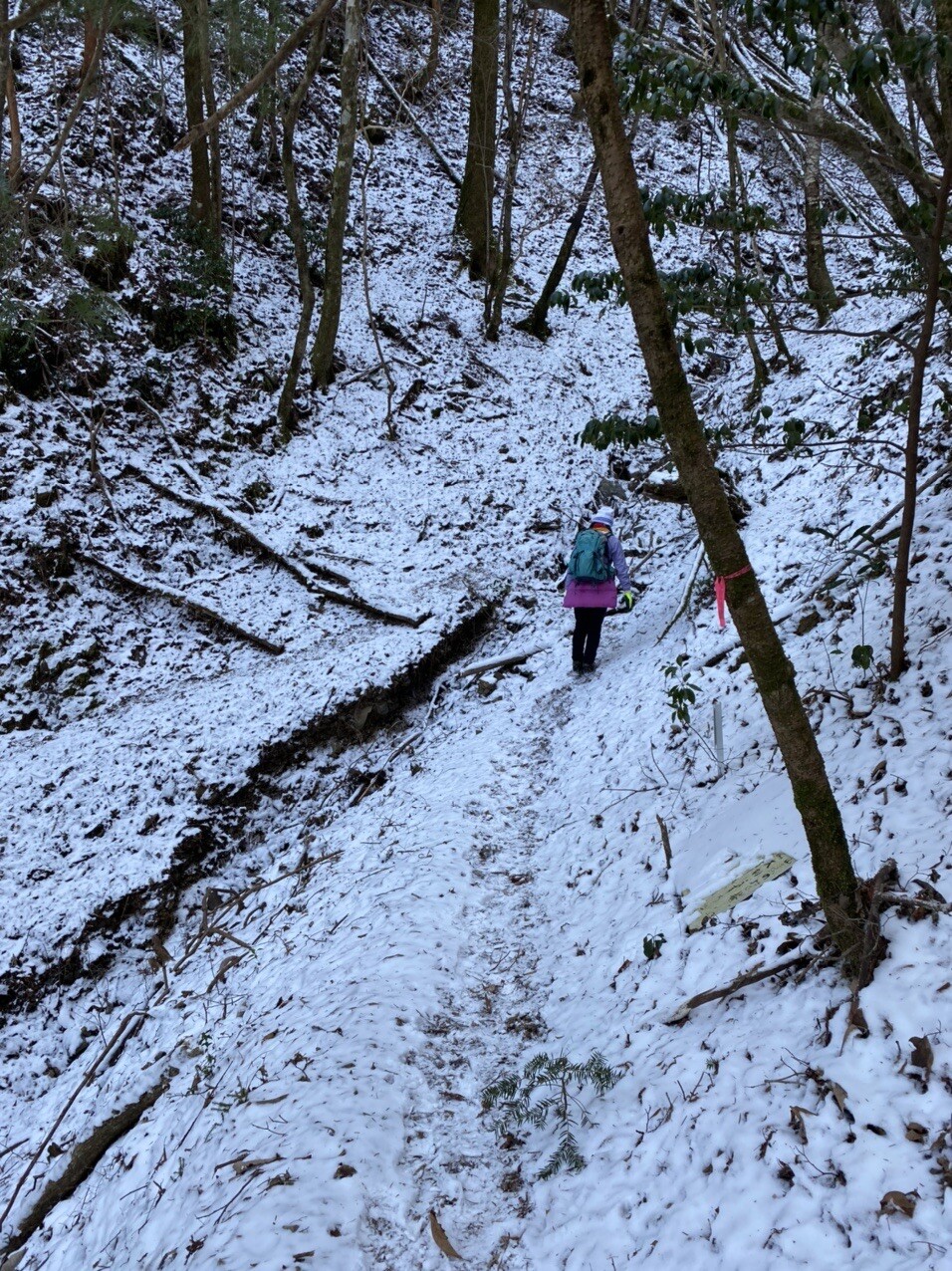ヤマップを使いこなせず💦 市房山！ま... / MUTSU さんのモーメント | YAMAP / ヤマップ