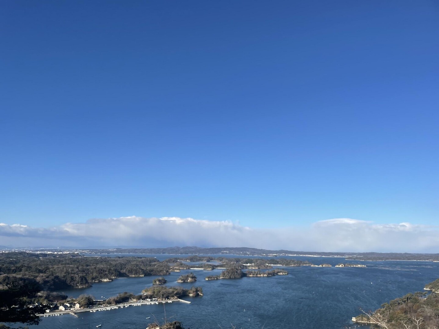 大高森 / meguさんの大高森の活動データ | YAMAP / ヤマップ