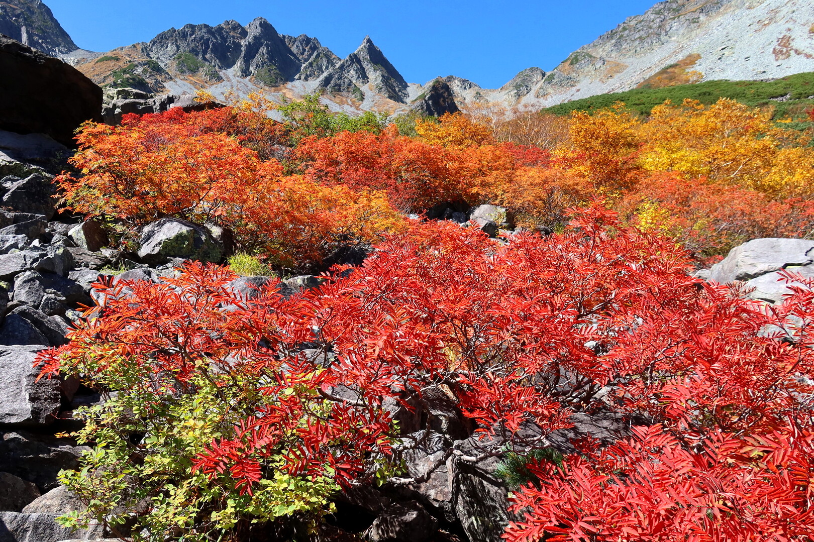 錦秋の涸沢カール：歓声上がる絶景！ / kunsanさんの槍ヶ岳・穂高岳・上高地の活動データ | YAMAP / ヤマップ