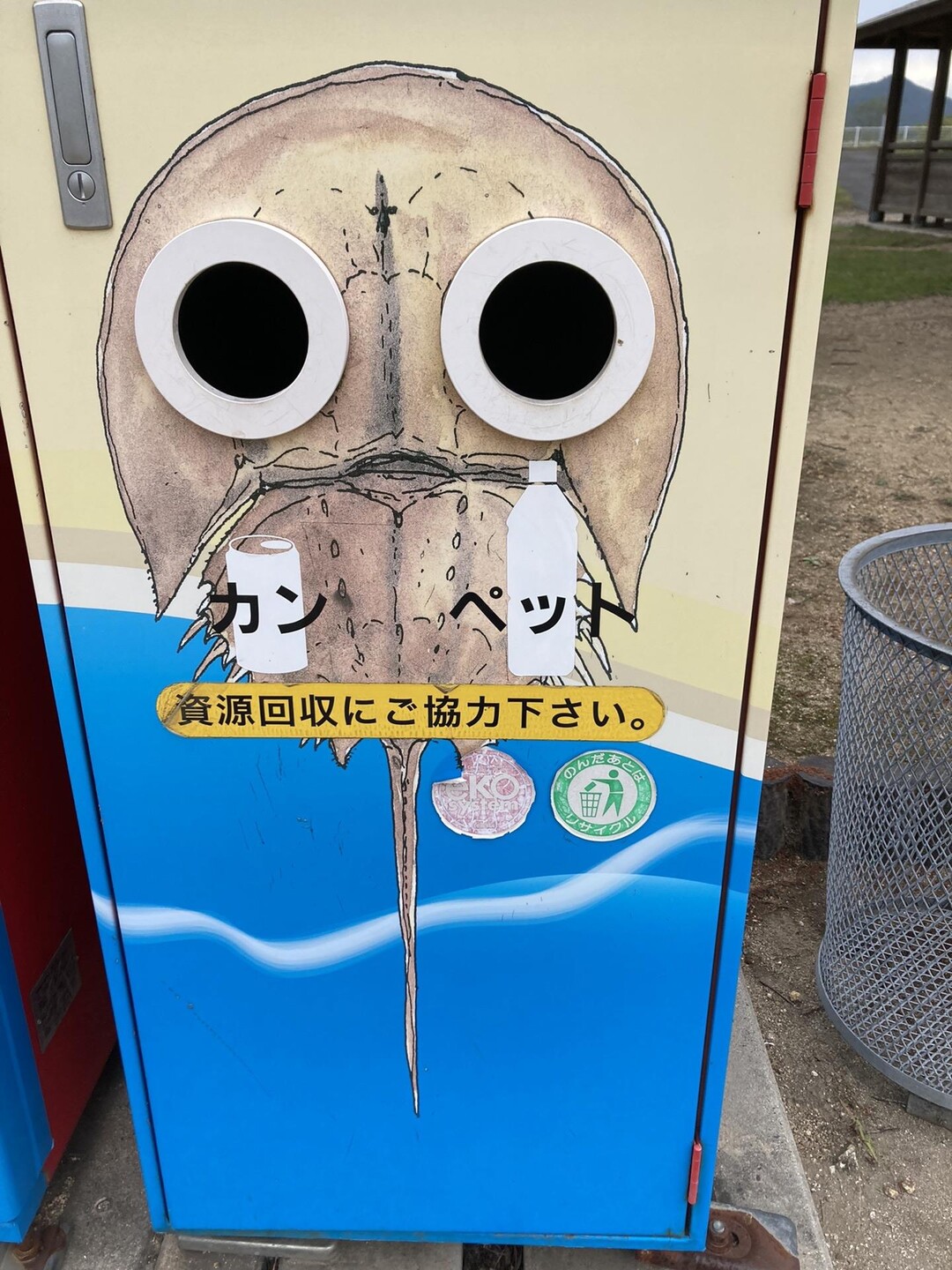 カブトガニ博物館で変なカブトガニ発見！ / Moきのこさんのモーメント | YAMAP / ヤマップ