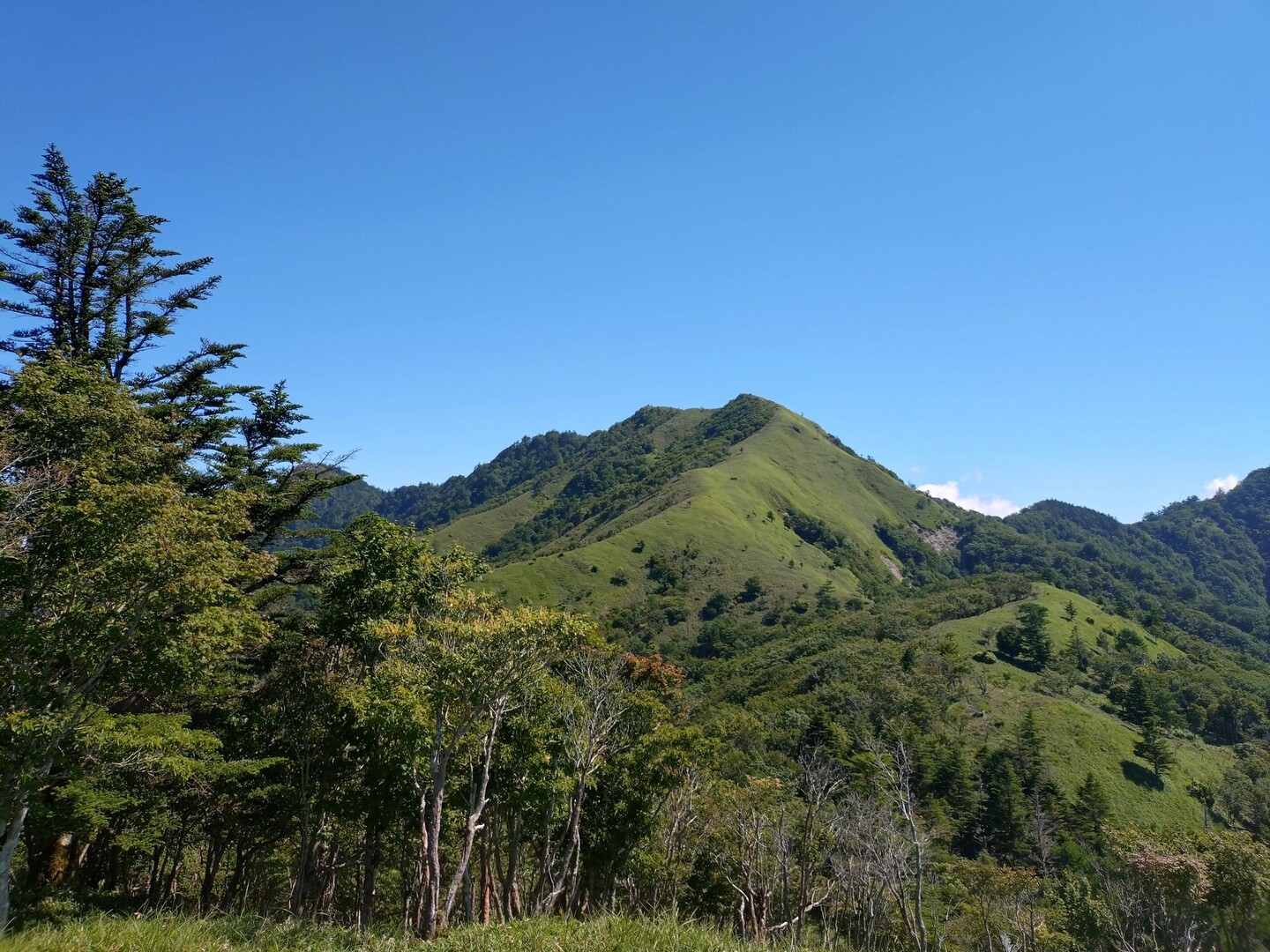 落禿・前烏帽子山・寒峰 / ya.junさんの寒峰の活動データ | YAMAP / ヤマップ