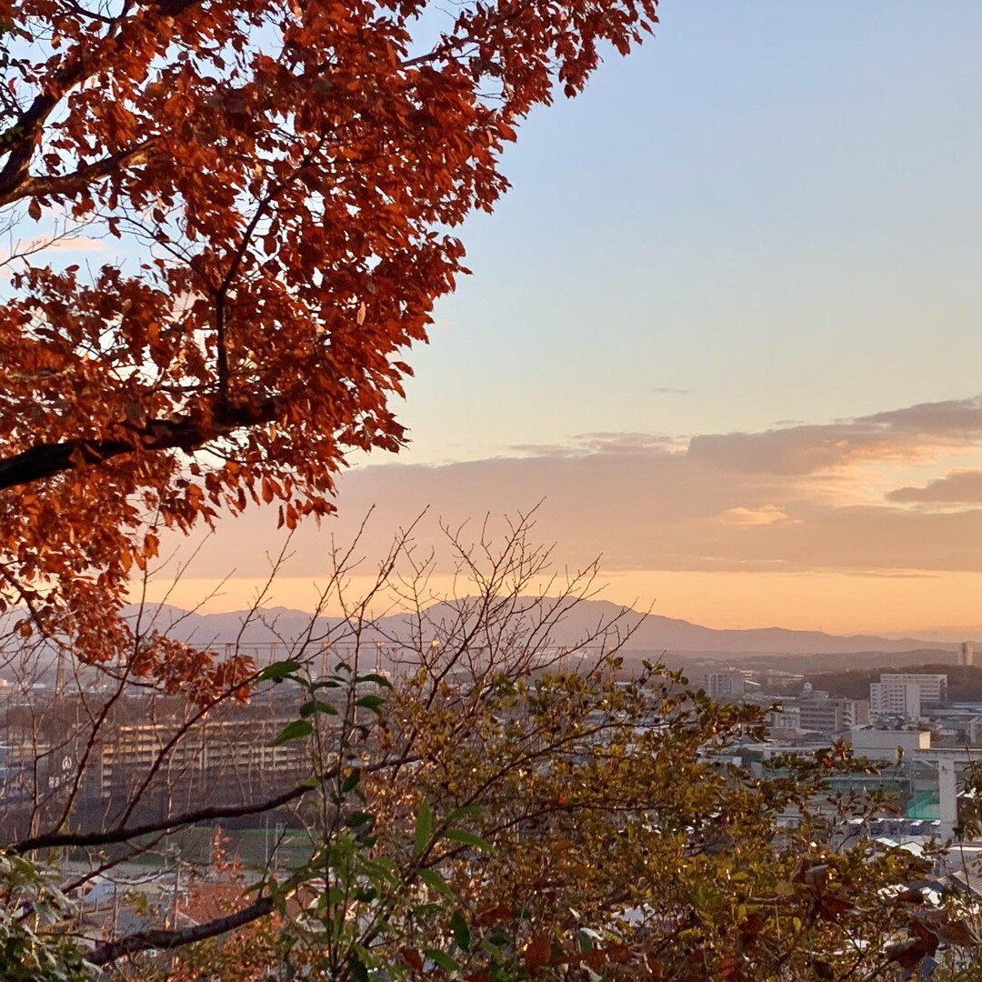 2023元旦 いだかの森 初日の出 / Kane Kenさんの名古屋市の活動データ | YAMAP / ヤマップ