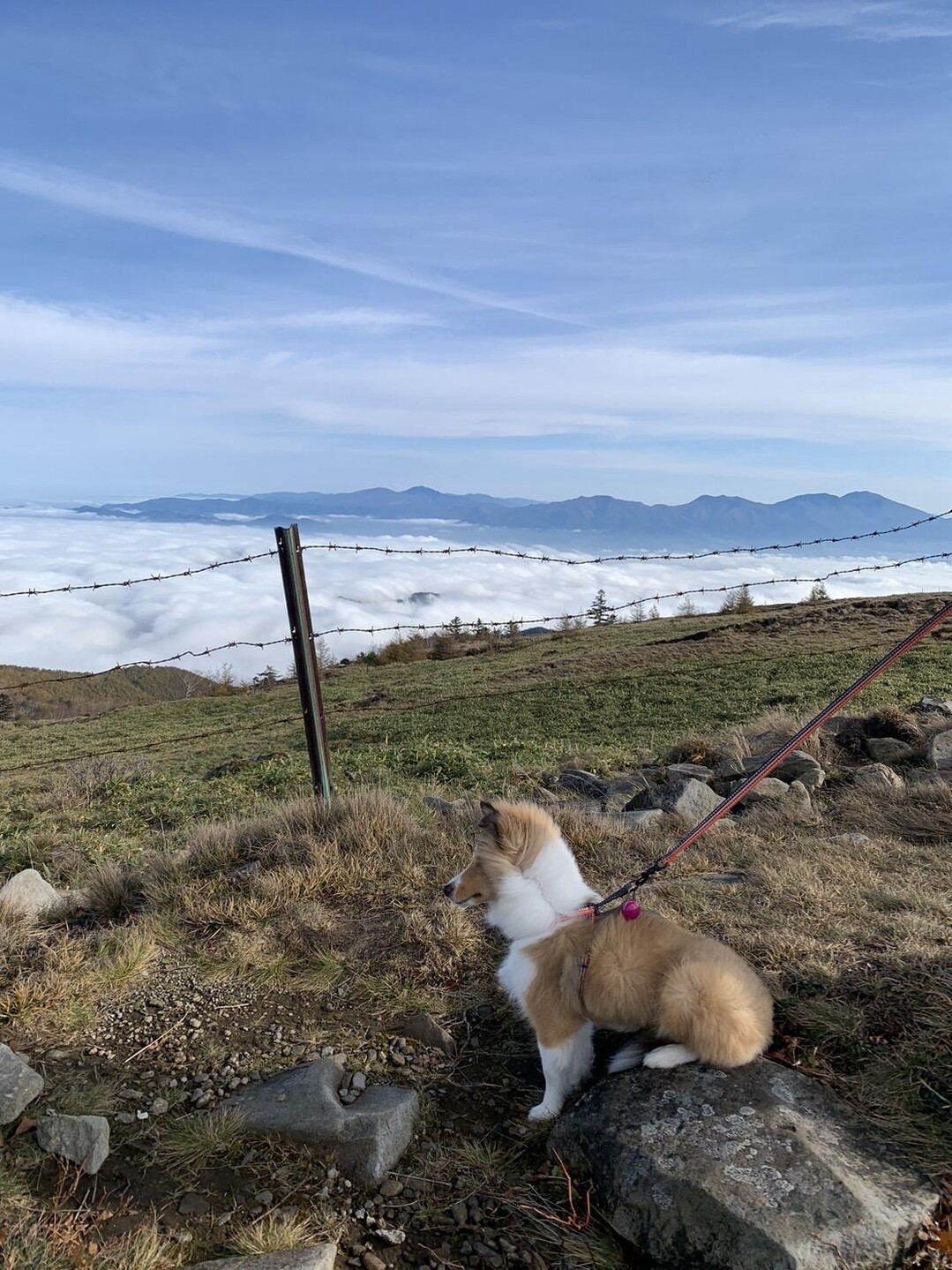 第1回 牛伏山 with 妻 / Eddieさんの美ヶ原の活動データ | YAMAP / ヤマップ