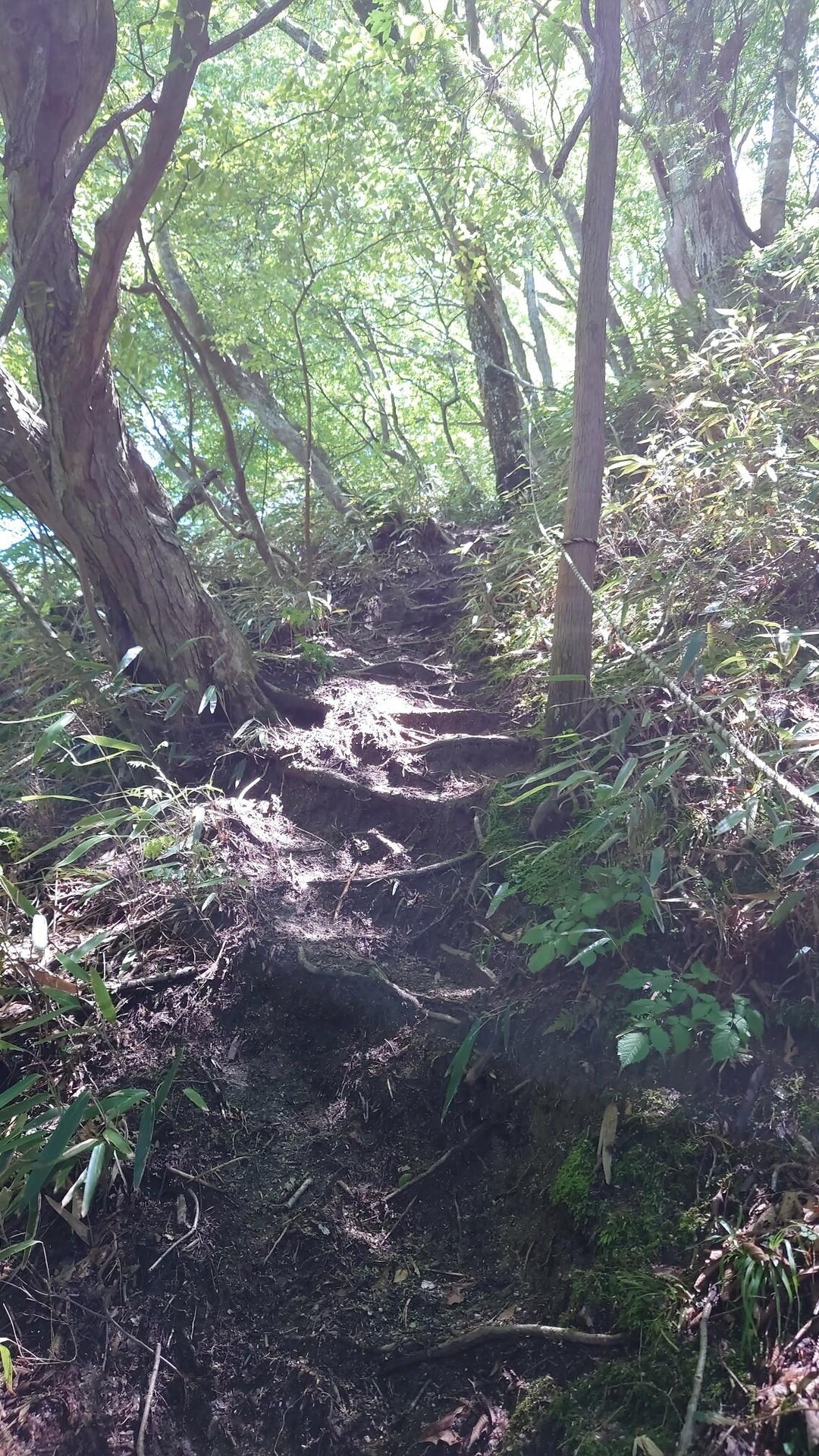 WOLF🐺さんの投稿したフィールドメモ | YAMAP / ヤマップ