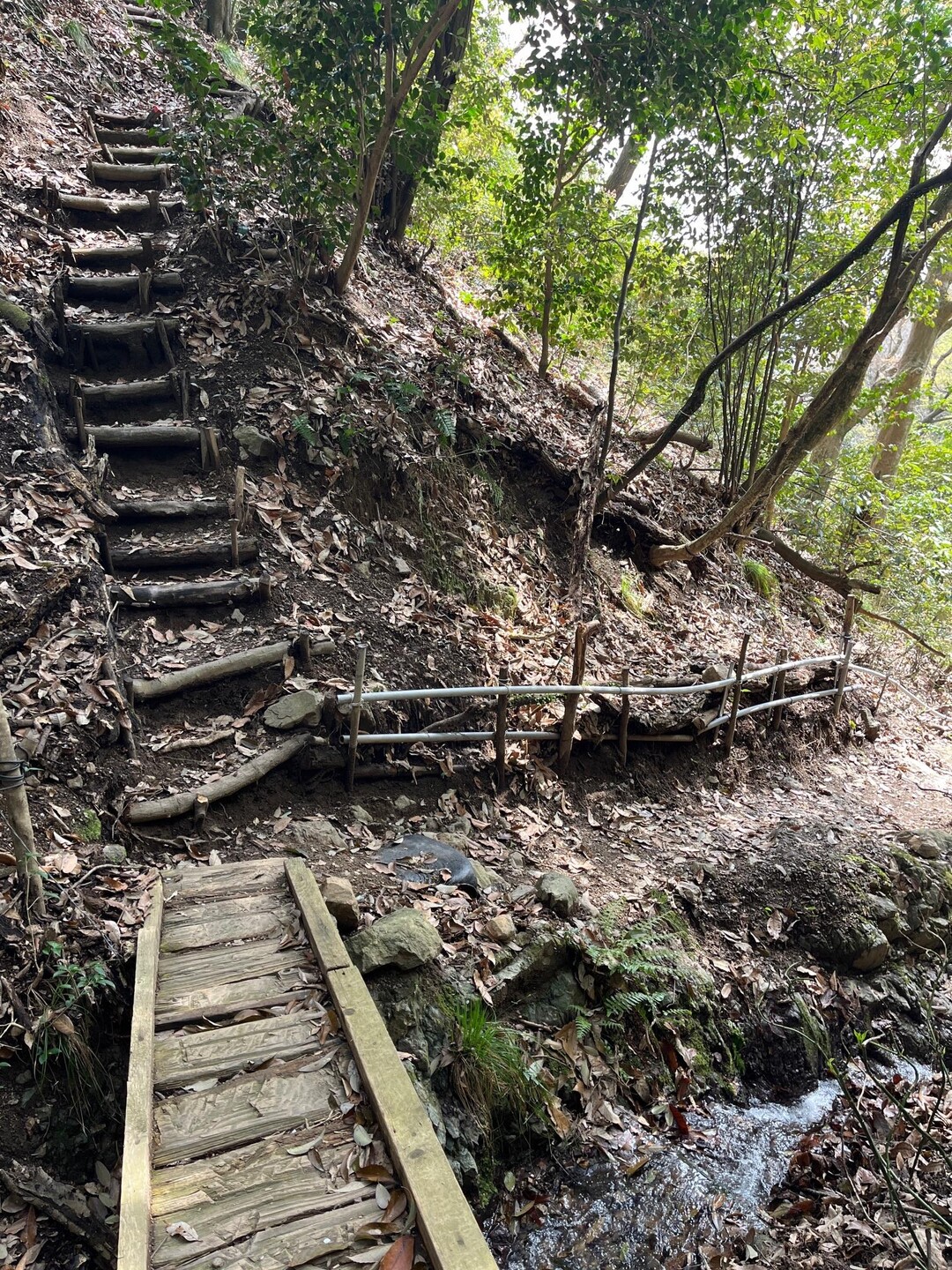 moko_sさんの投稿したフィールドメモ | YAMAP / ヤマップ