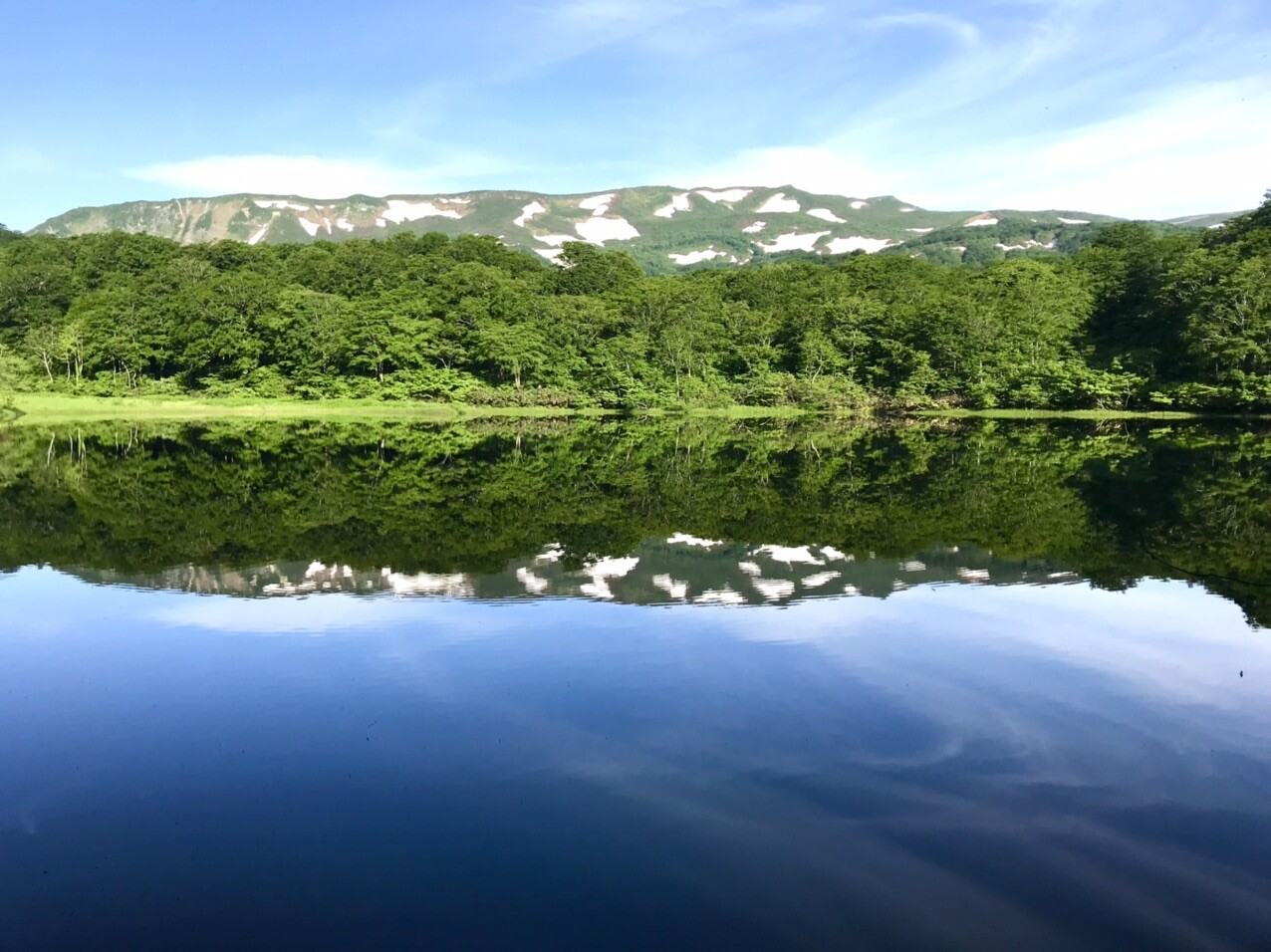 楽園山歩[東焼石岳]ハクサンイチゲ終盤 / さちGさんの羽山・羽黒山・月山の活動データ | YAMAP / ヤマップ