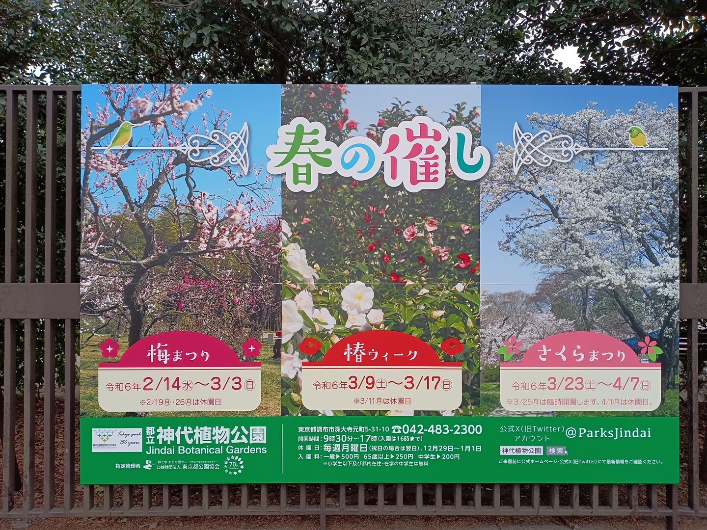 神代植物公園に早春の花を愛でに行ってきま... / ゆっくりつねちゃんさんのモーメント | YAMAP / ヤマップ