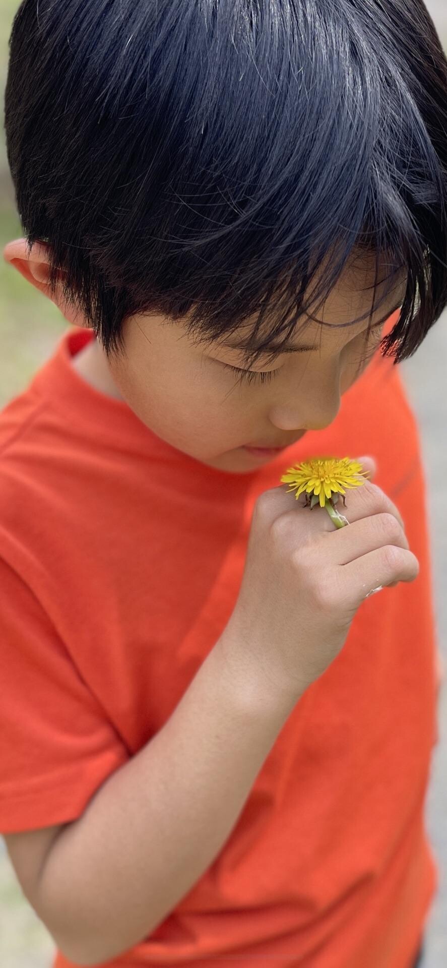 チビくんと🩷東谷山 / RURIHAさんの東谷山の活動データ | YAMAP / ヤマップ