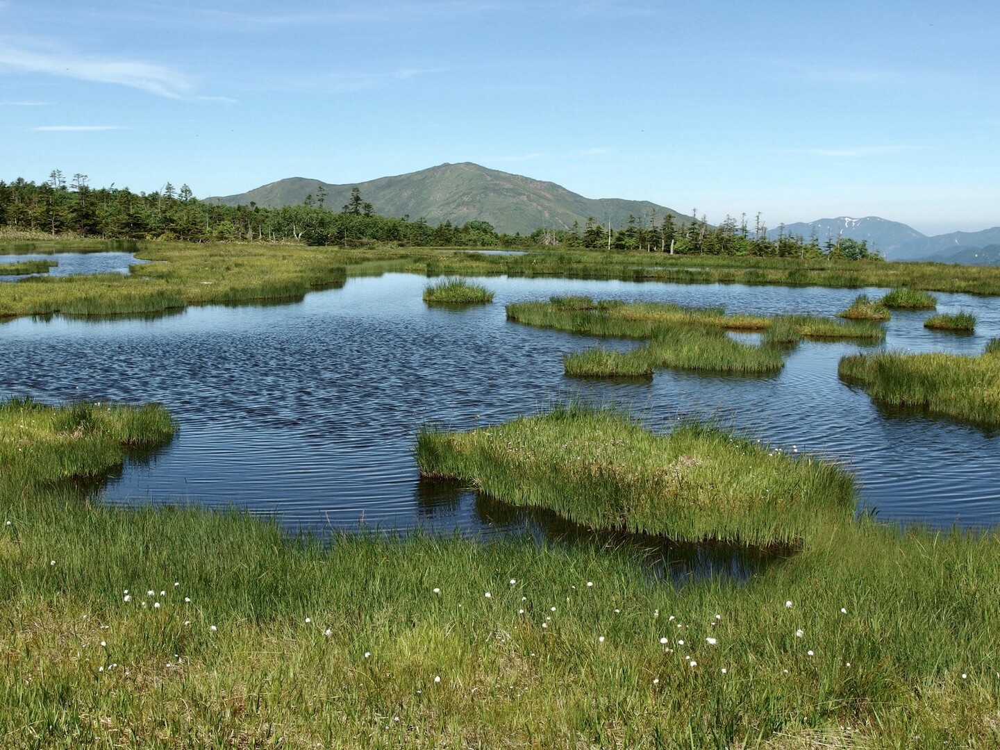 梅雨の晴れ間に誘われて、アヤメ平 富士見下からピストン / Yosshyさんの尾瀬・燧ヶ岳の活動データ | YAMAP / ヤマップ