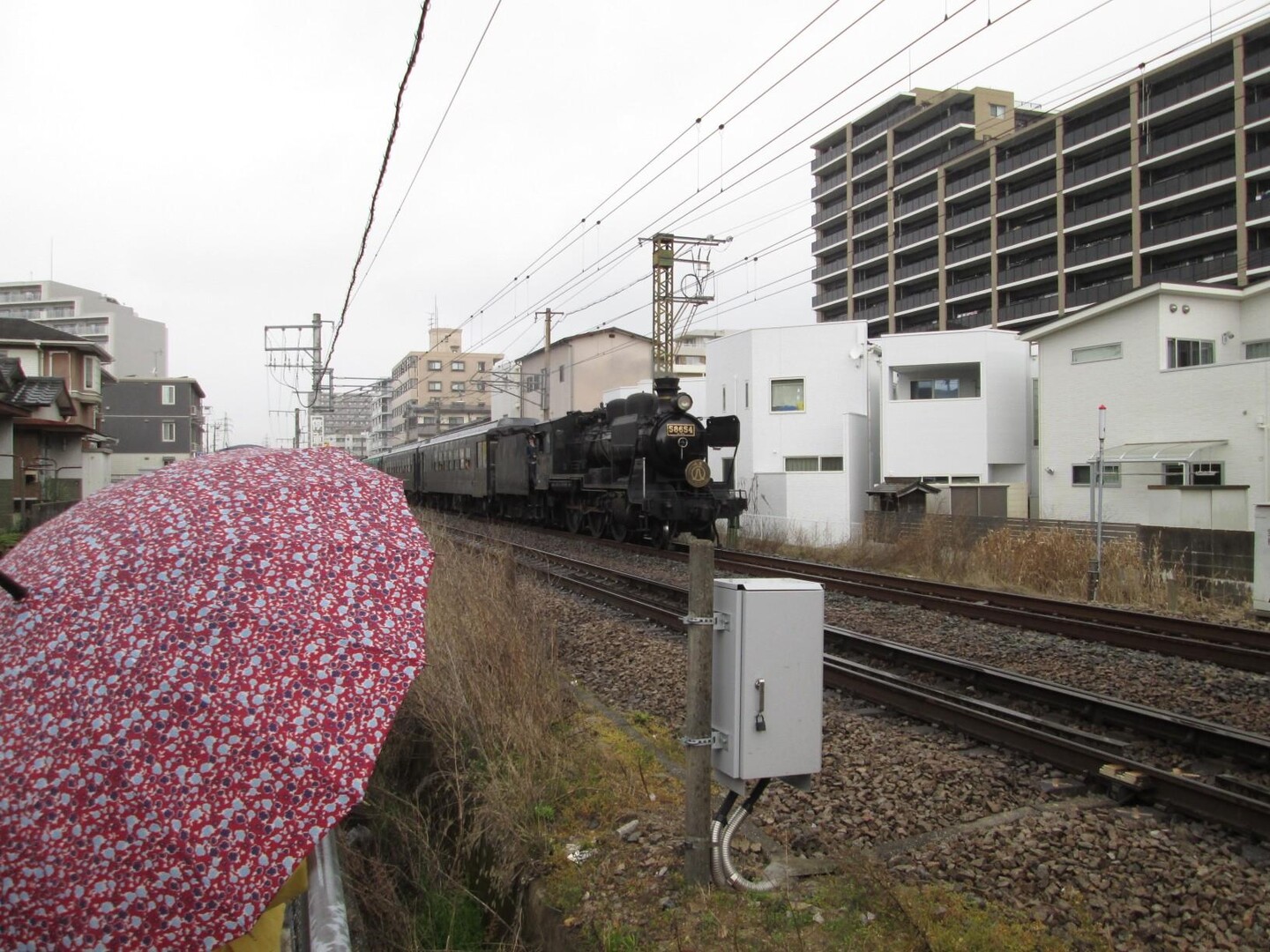 SL 人吉🚂ラストランを見に行って来ま... / ゆみぷーさんのモーメント | YAMAP / ヤマップ