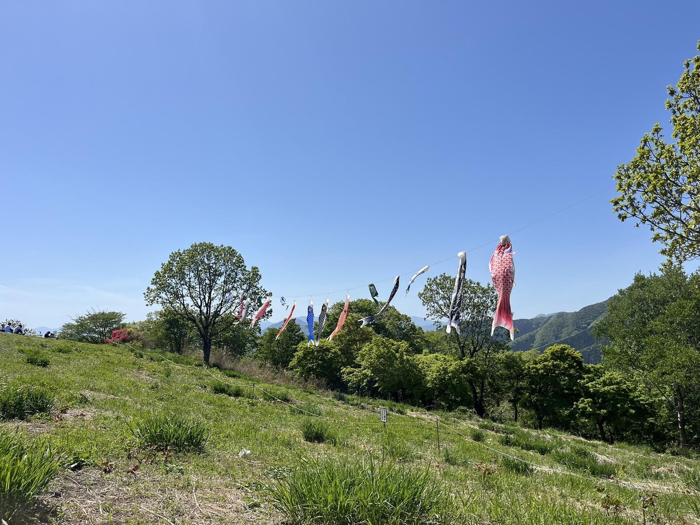笹尾根③ 浅間峠〜生藤山〜陣馬山 / k1さんの三頭山・槇寄山・土俵岳の活動データ | YAMAP / ヤマップ