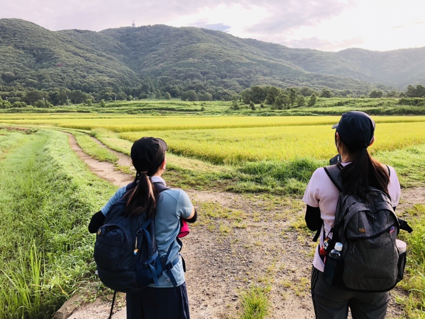 宝篋山・尖浅間山 / ogapさんの宝篋山・富岡山の活動データ | YAMAP / ヤマップ