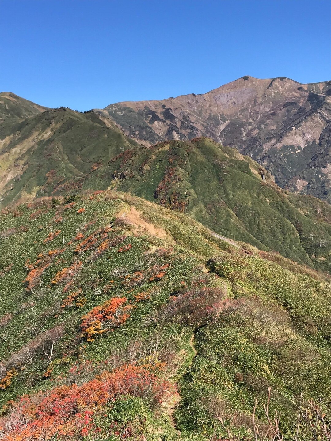 無念の銚子ヶ峰・一ノ峰 / golfbakaさんの白山・別山・銚子ヶ峰の活動データ | YAMAP / ヤマップ