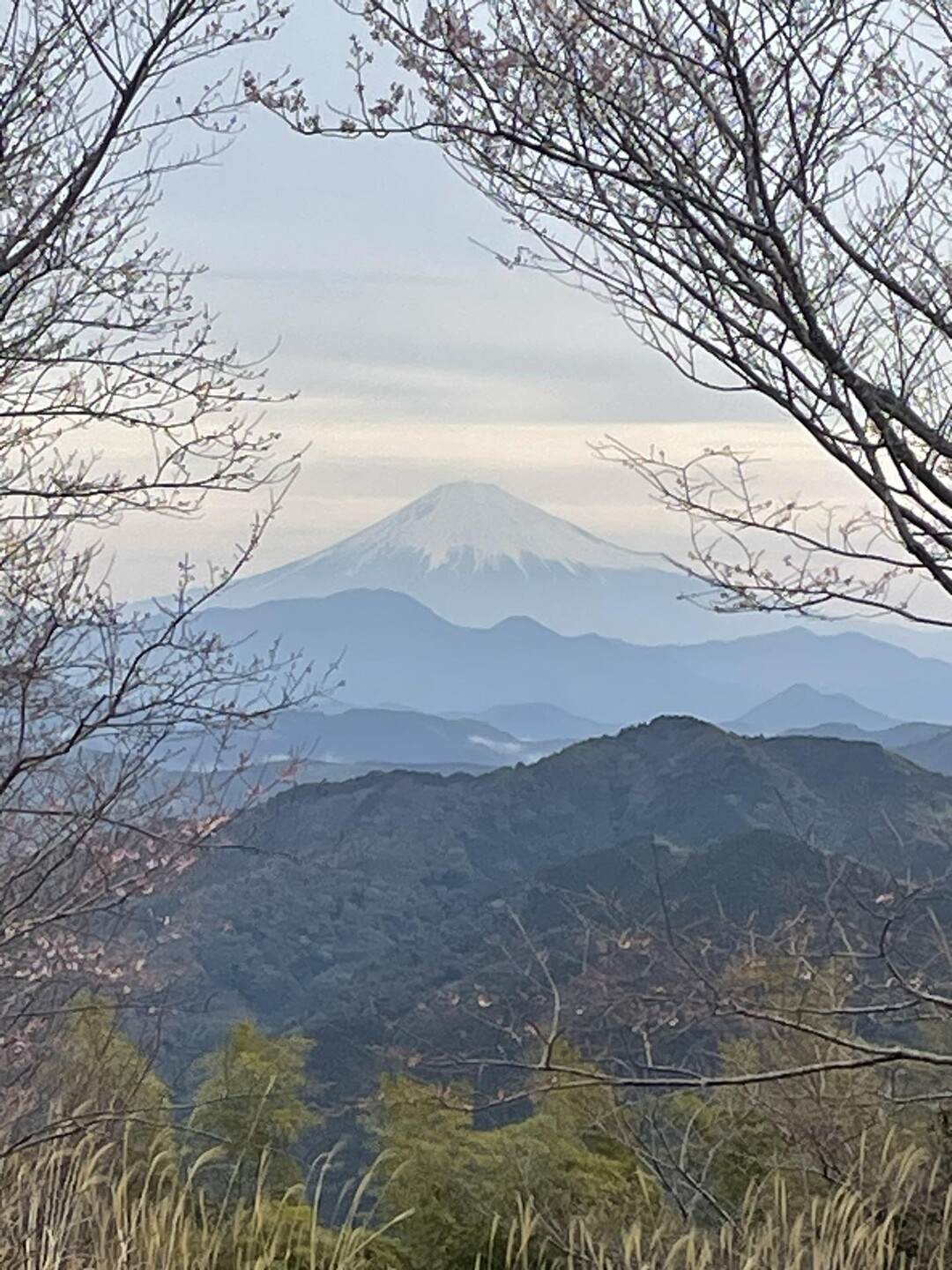 双子山 / tatariiさんの千葉山・白岩寺山の活動データ | YAMAP / ヤマップ