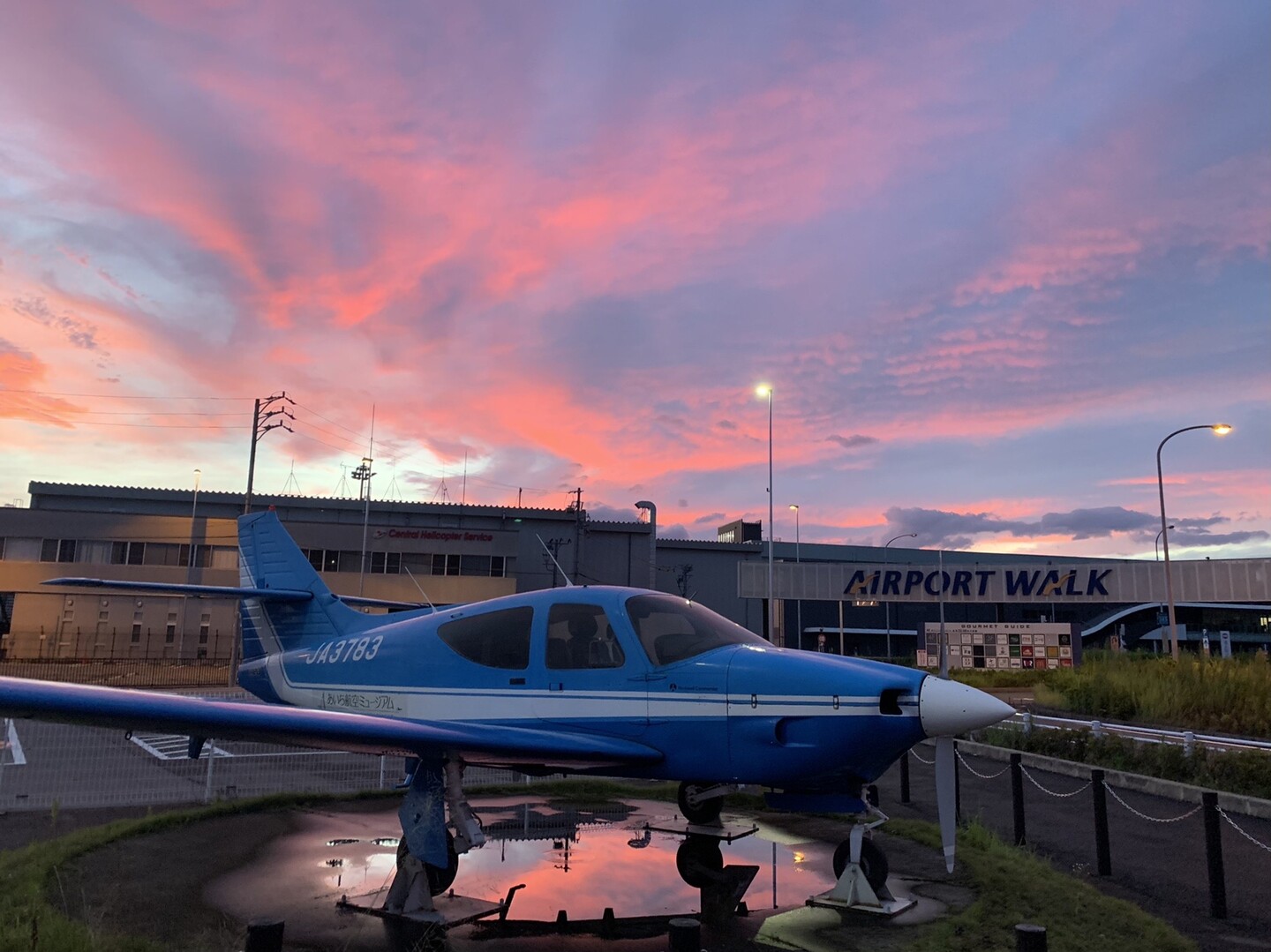 散歩中の朝焼けと、花とヌートリア / tsさんのモーメント | YAMAP / ヤマップ
