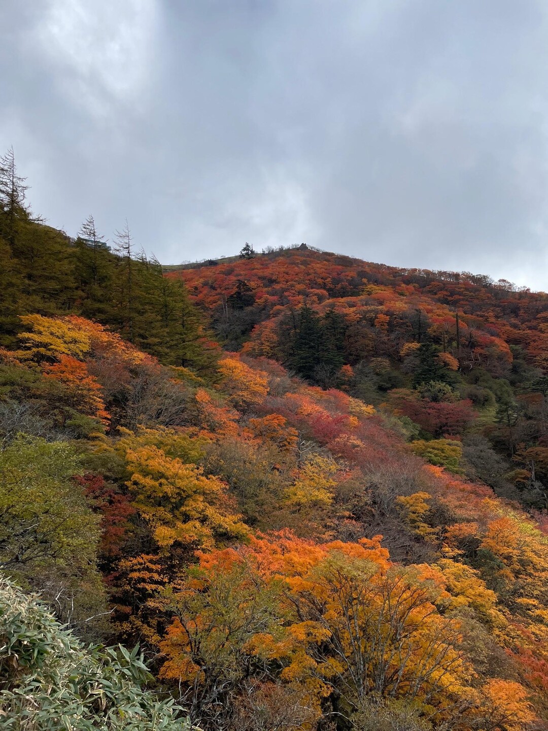 剣山 / moko_sさんの剣山の活動データ | YAMAP / ヤマップ