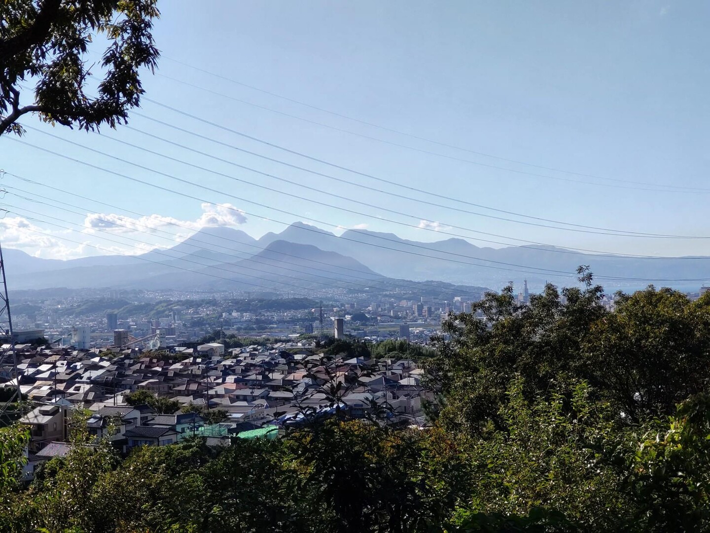 そろそろ飽きてきた、高尾山😅 / yanさんの九六位山の活動データ | YAMAP / ヤマップ