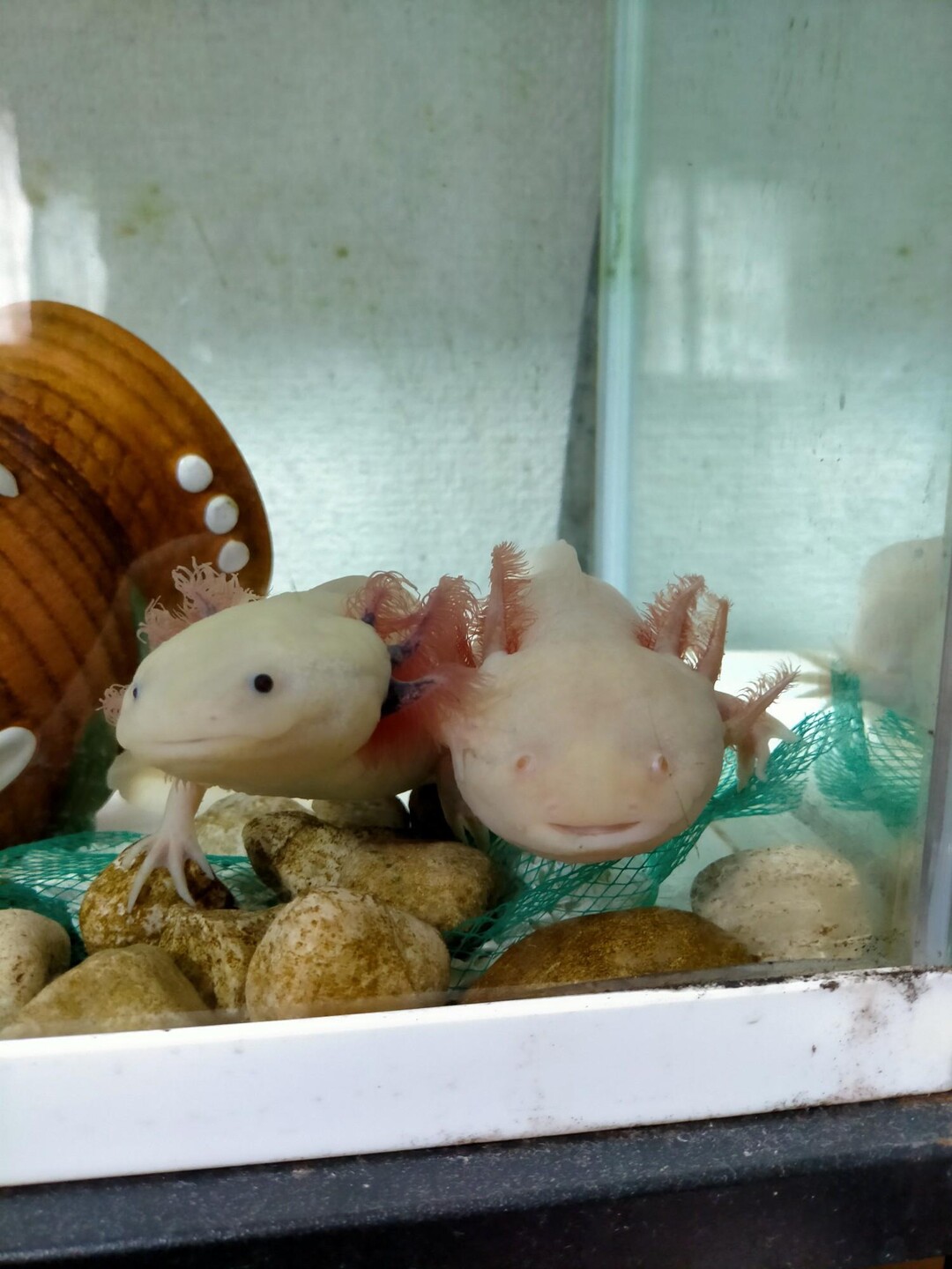 2023/11/15 今月ももう半分経過... / まさやんさんのモーメント | YAMAP / ヤマップ