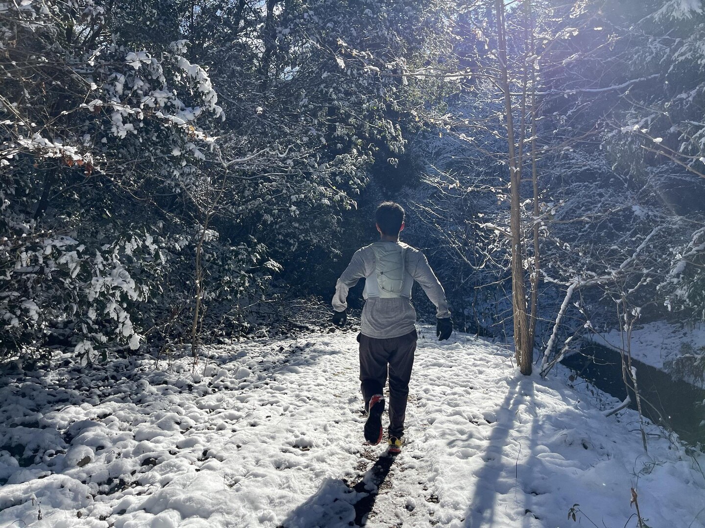 雪の「ふどうの森トレイルラン22K」 / つきさんの各務原アルプス（関南アルプス）・八木三山の活動日記 | YAMAP / ヤマップ