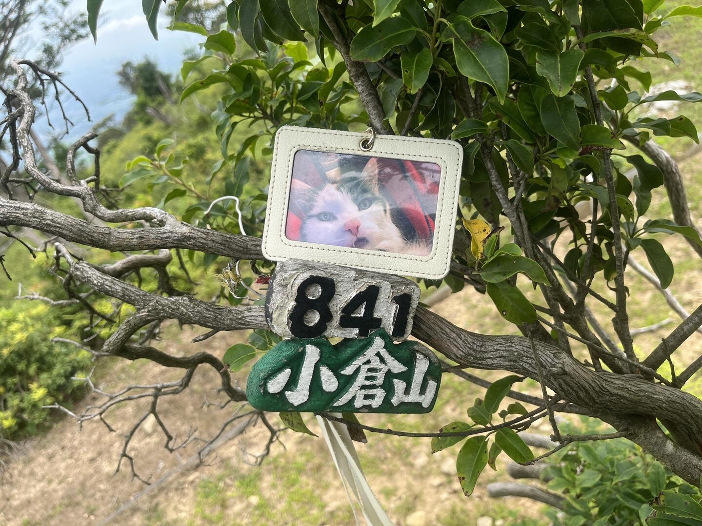 三方山・小倉山・なっくんと共にR5-27(通算182) / なっくんさんの養老山・笙ヶ岳・三方山の活動データ | YAMAP / ヤマップ