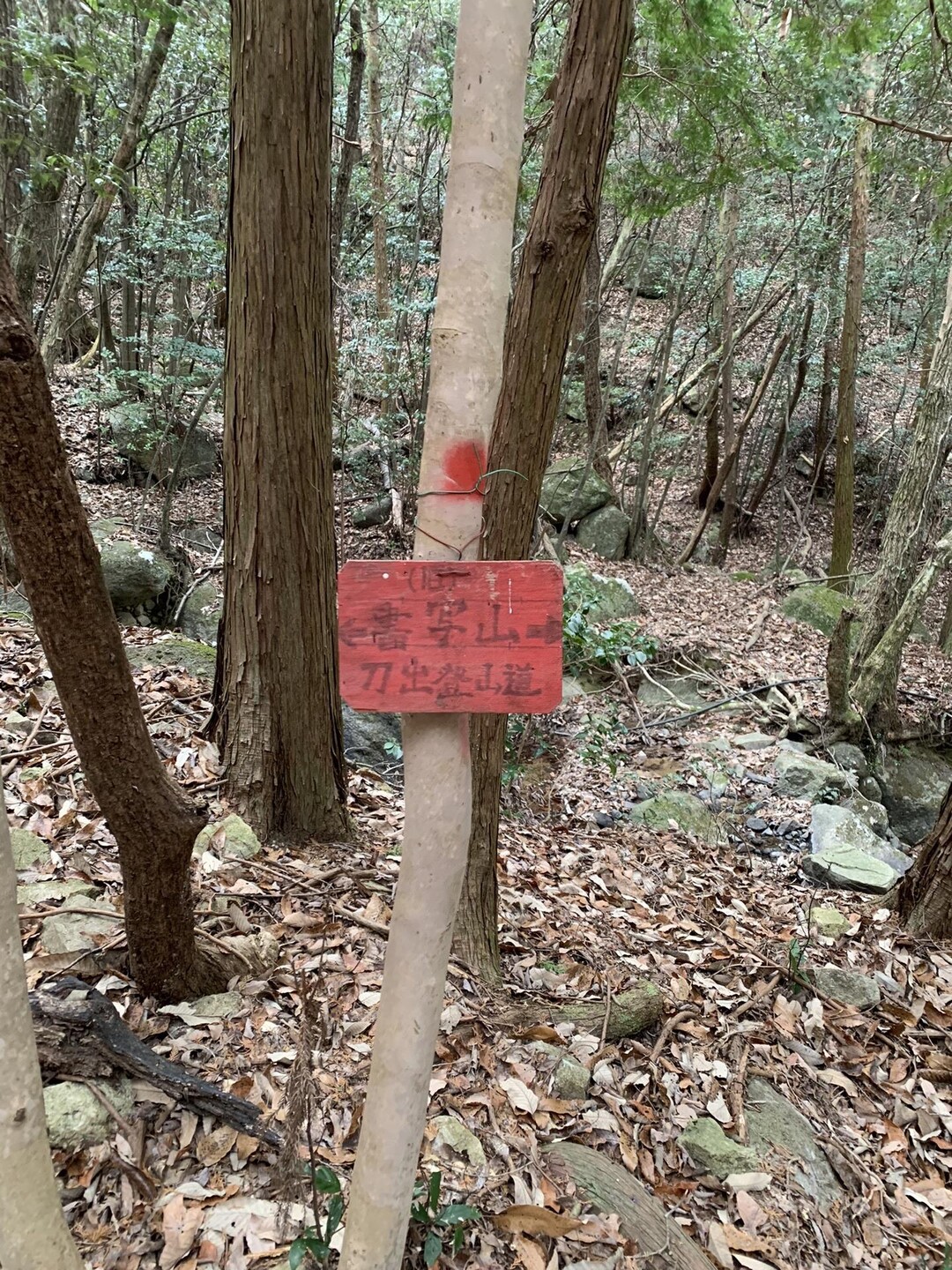 書写山 / YMO.Kさんの書写山・伊勢山・とんがり山の活動データ | YAMAP / ヤマップ