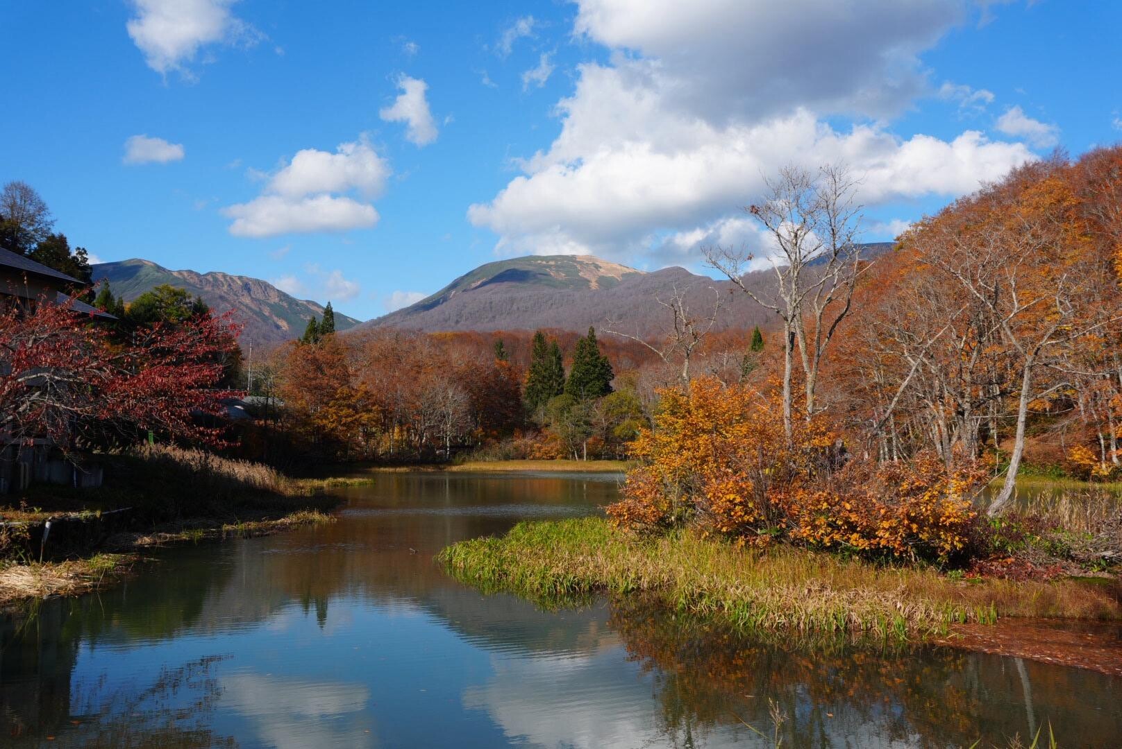 月山・*:..｡o ☼*ﾟ / eriさんの月山の活動データ | YAMAP / ヤマップ