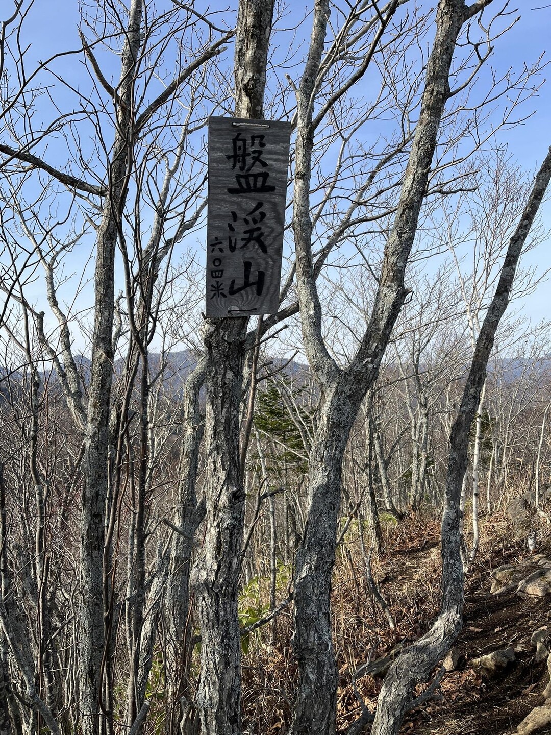 盤渓山 / waaさんの砥石山・青山の活動データ | YAMAP / ヤマップ