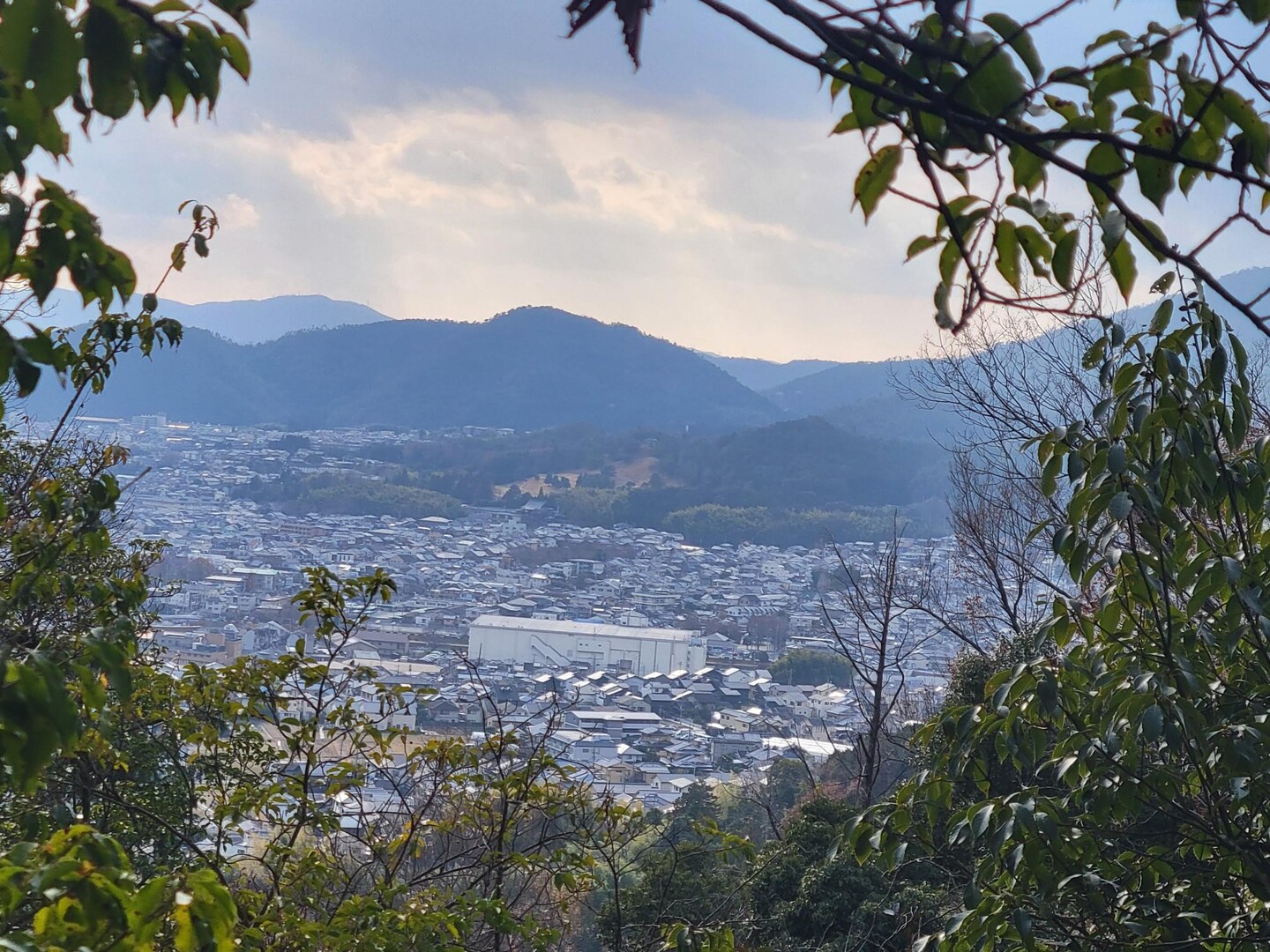 今日が登り納めになりました～(／ \)♪#285 / みゅー♪さんの京都一周トレイルの活動データ | YAMAP / ヤマップ