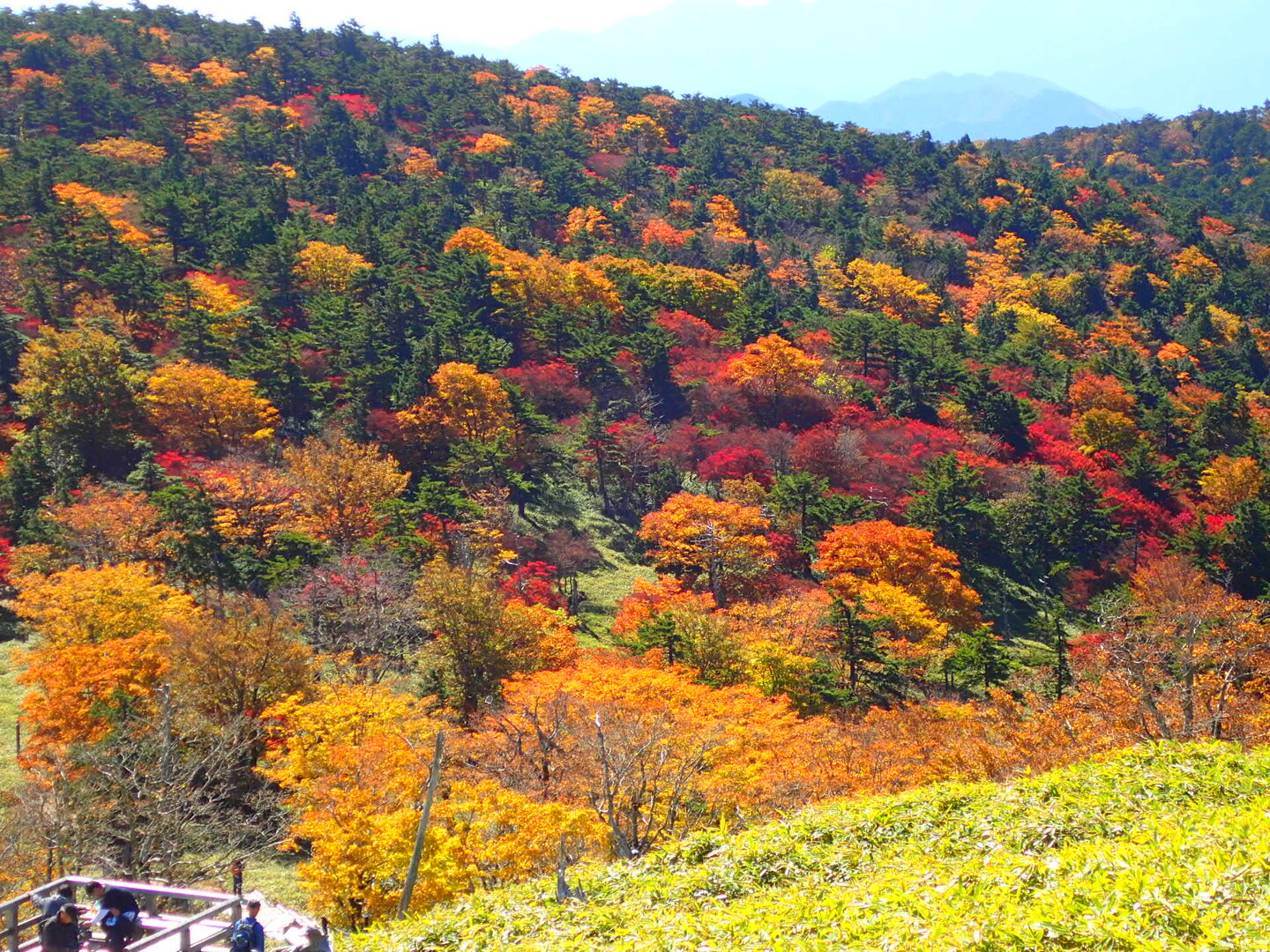 紅葉🍁山行き大台ヶ原 / sigeさんの大台ヶ原山・日出ヶ岳・大杉谷の活動日記 | YAMAP / ヤマップ